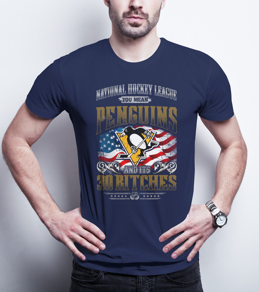 National Hockey League You Mean Penguins And Its 30 Bitches T-Shirt
