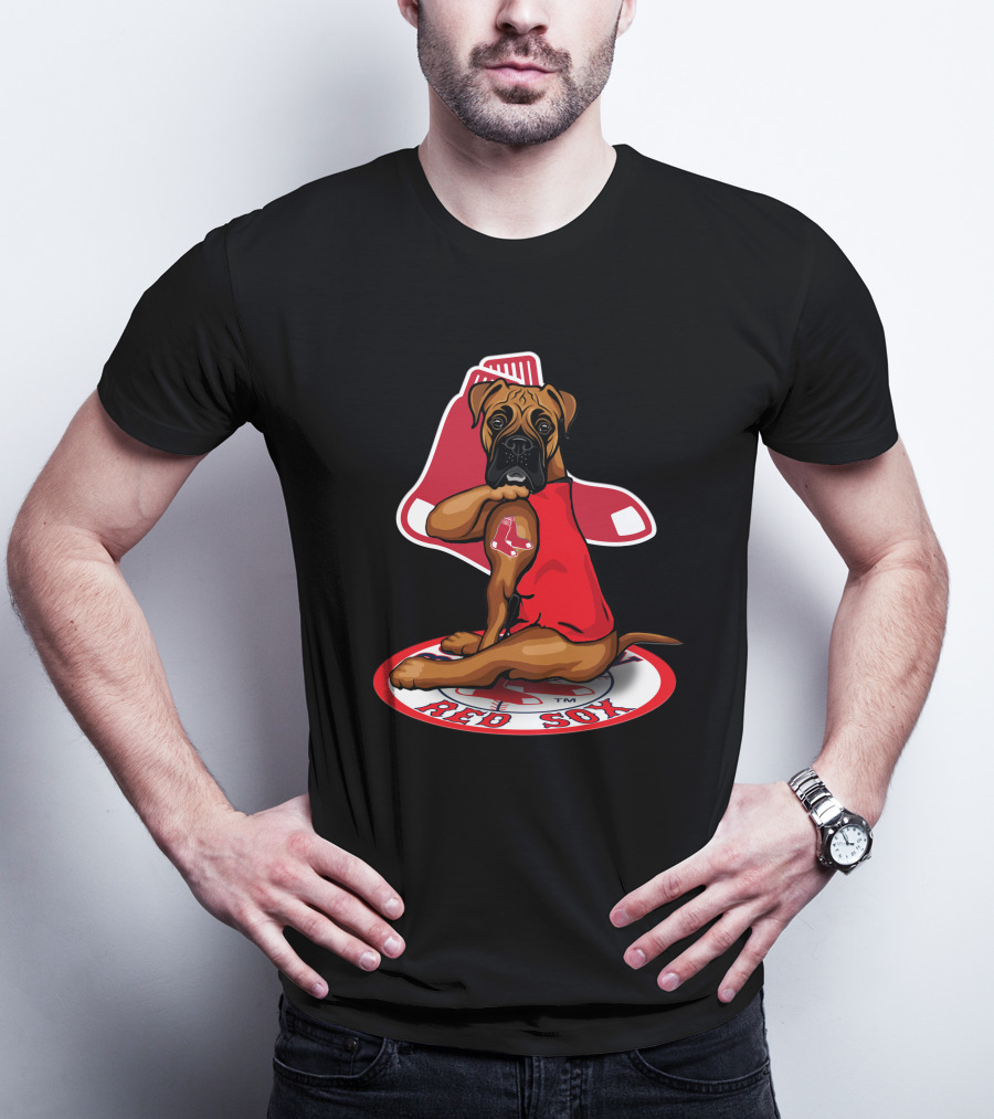 Boston Red Sox Dog Sitting On Iconic Sock T-Shirt