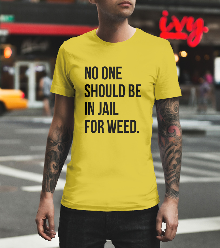 No One Should Be In Jail For Weed Gisele Barreto Fetterman We Go High Shop T-Shirt