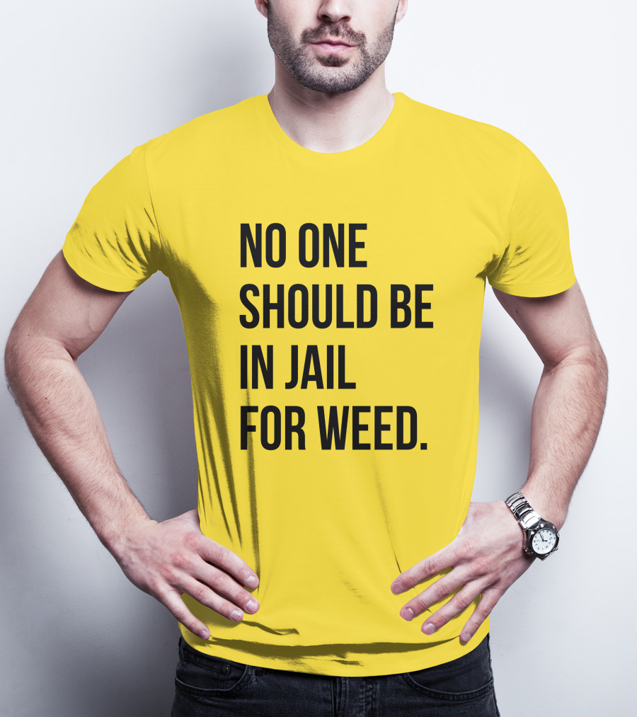 No One Should Be In Jail For Weed Gisele Barreto Fetterman We Go High Shop T-Shirt