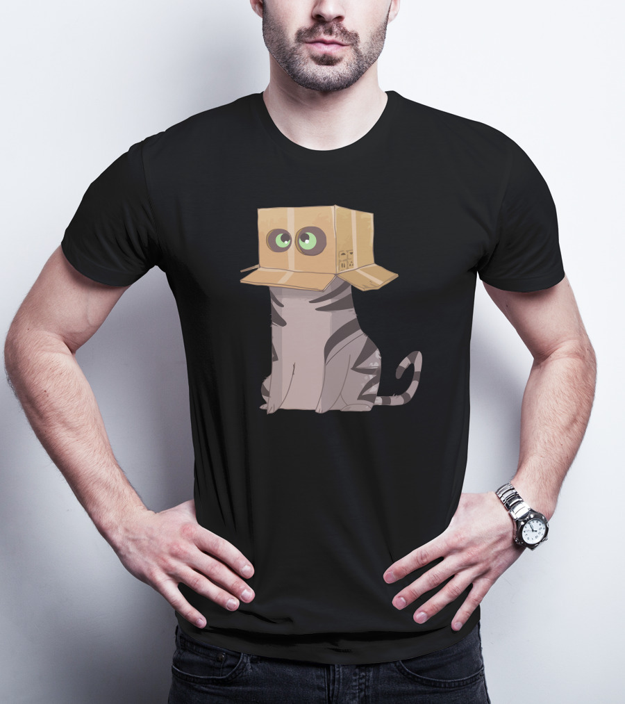 Cat In The Box With Big Eyes Wearing Cardboard Hat T-Shirt