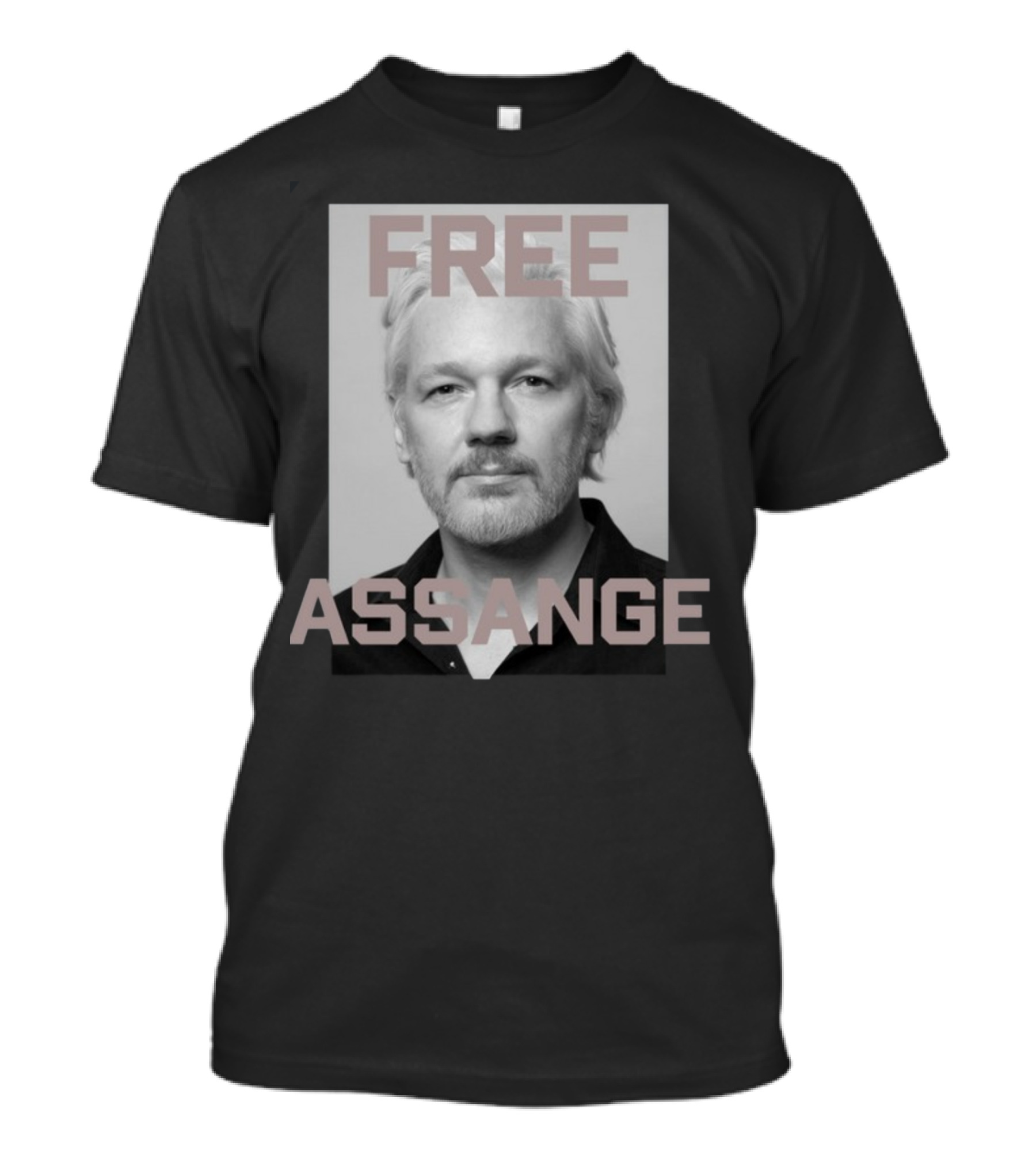 Kari Lake Wearing Free Assange T-Shirt