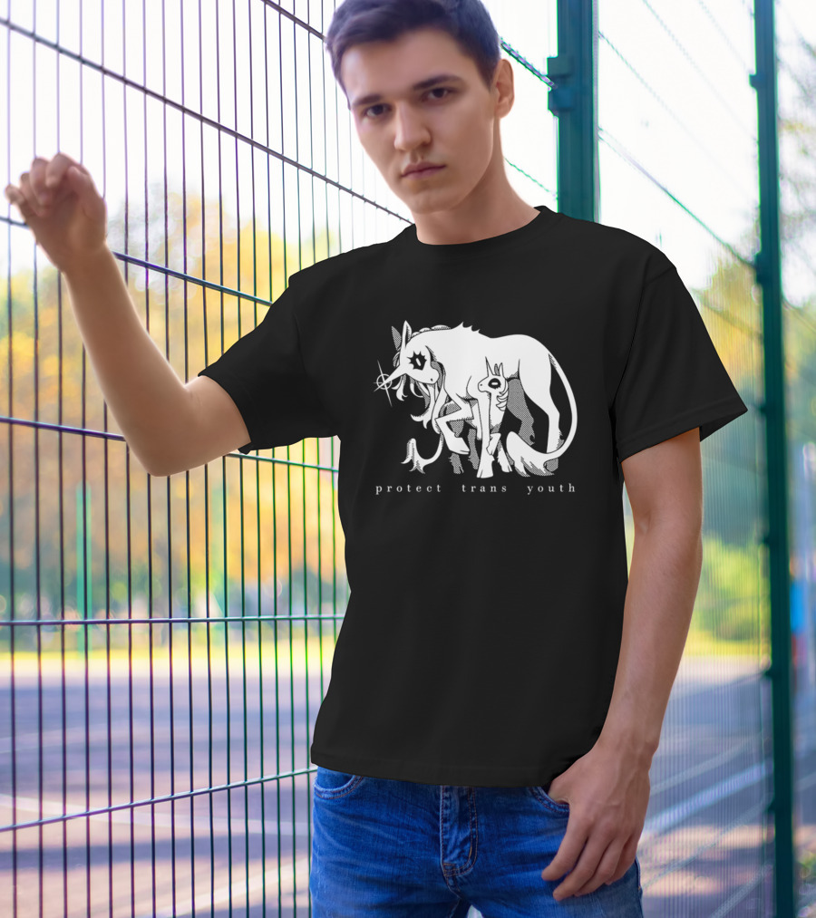 Protect Trans Youth Unicorn Support T-Shirt