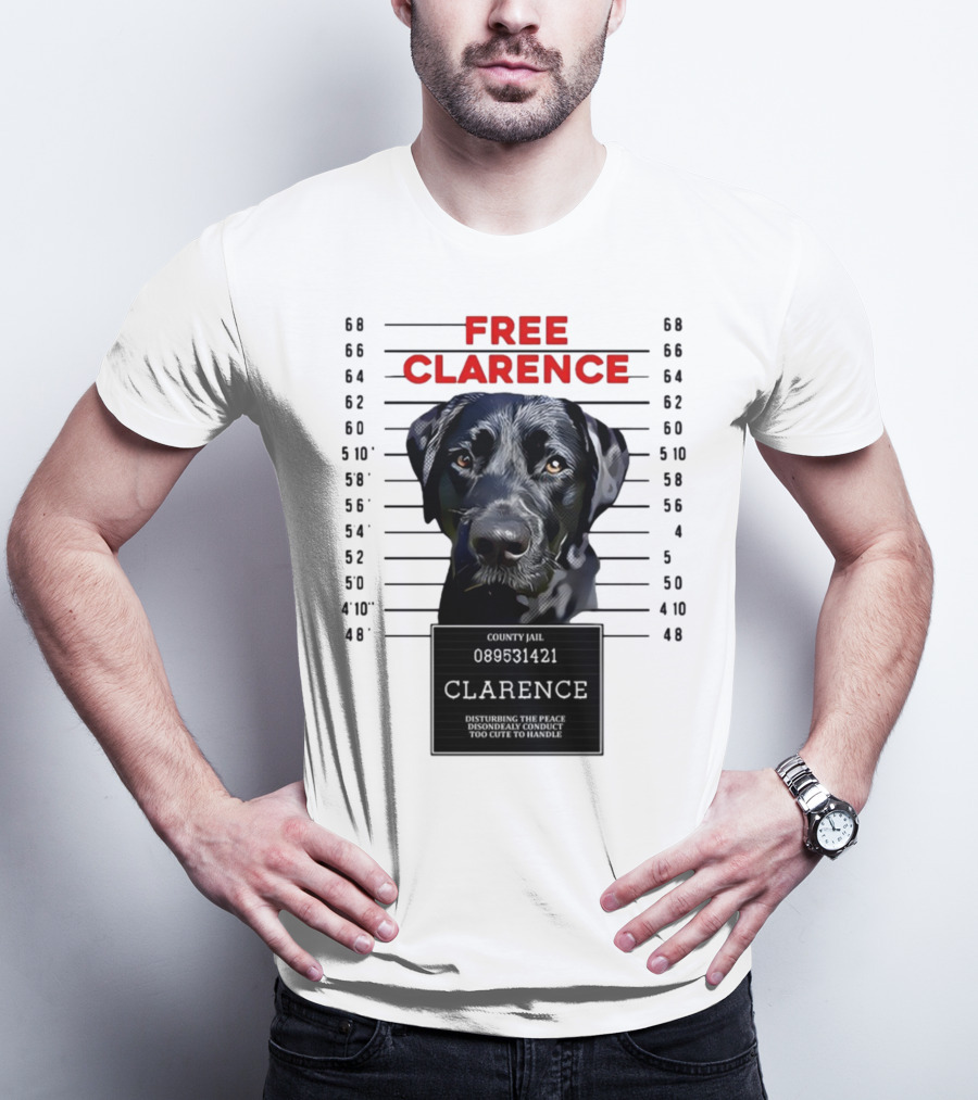 Free Clarence County Jail Disturbing The Peace Disorderly Conduct Too Cute To Handle T-Shirt