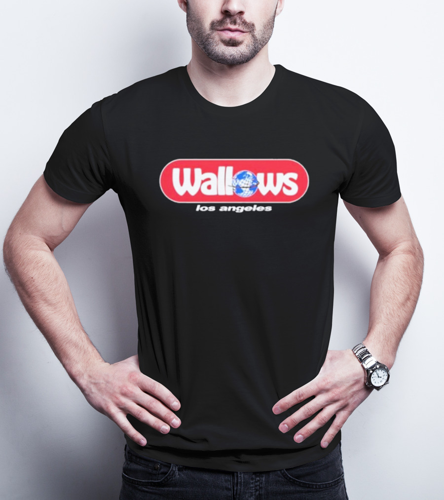 Wallows Los Angeles With Globe Graphic Circle T-Shirt