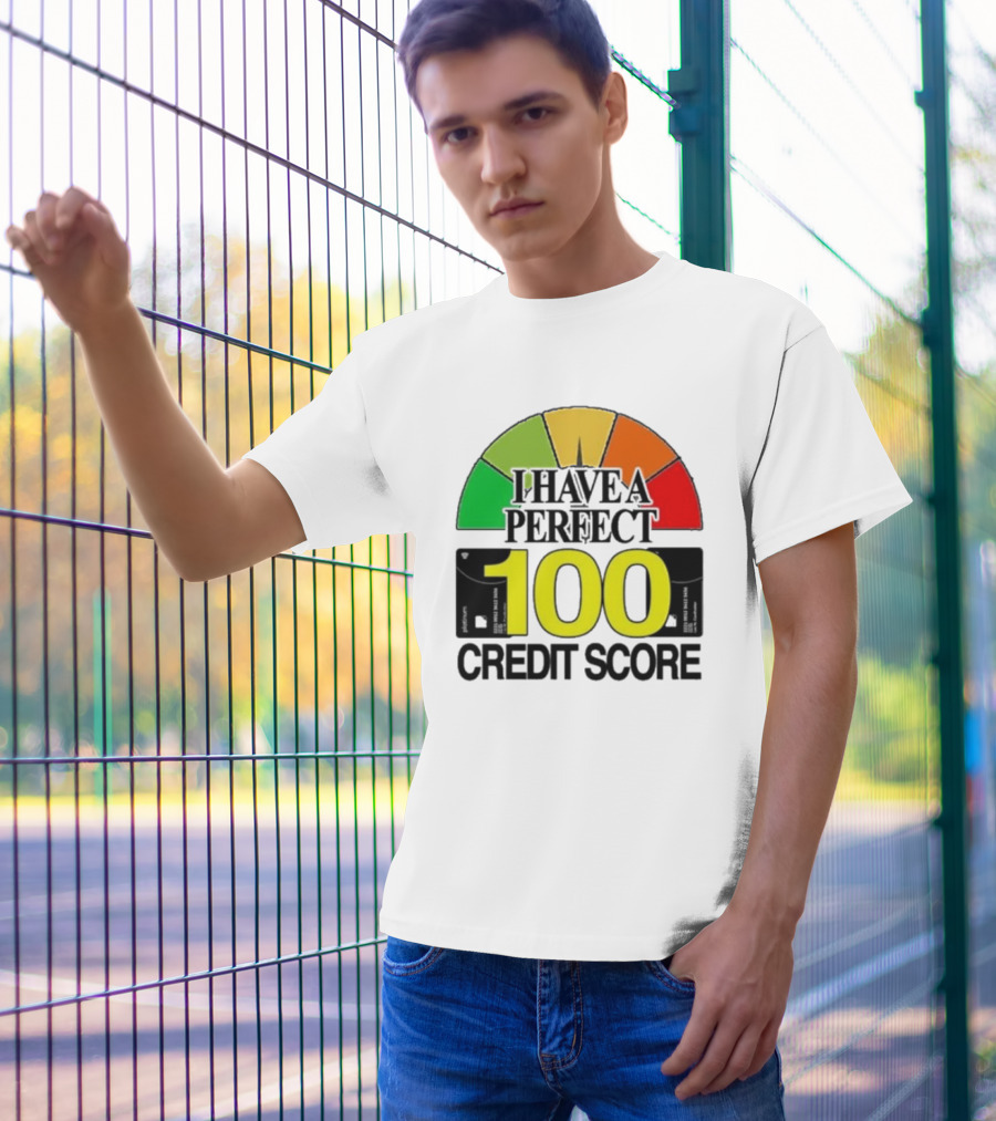 I Have A Perfect 100 Credit Score Gauge Graph T-Shirt