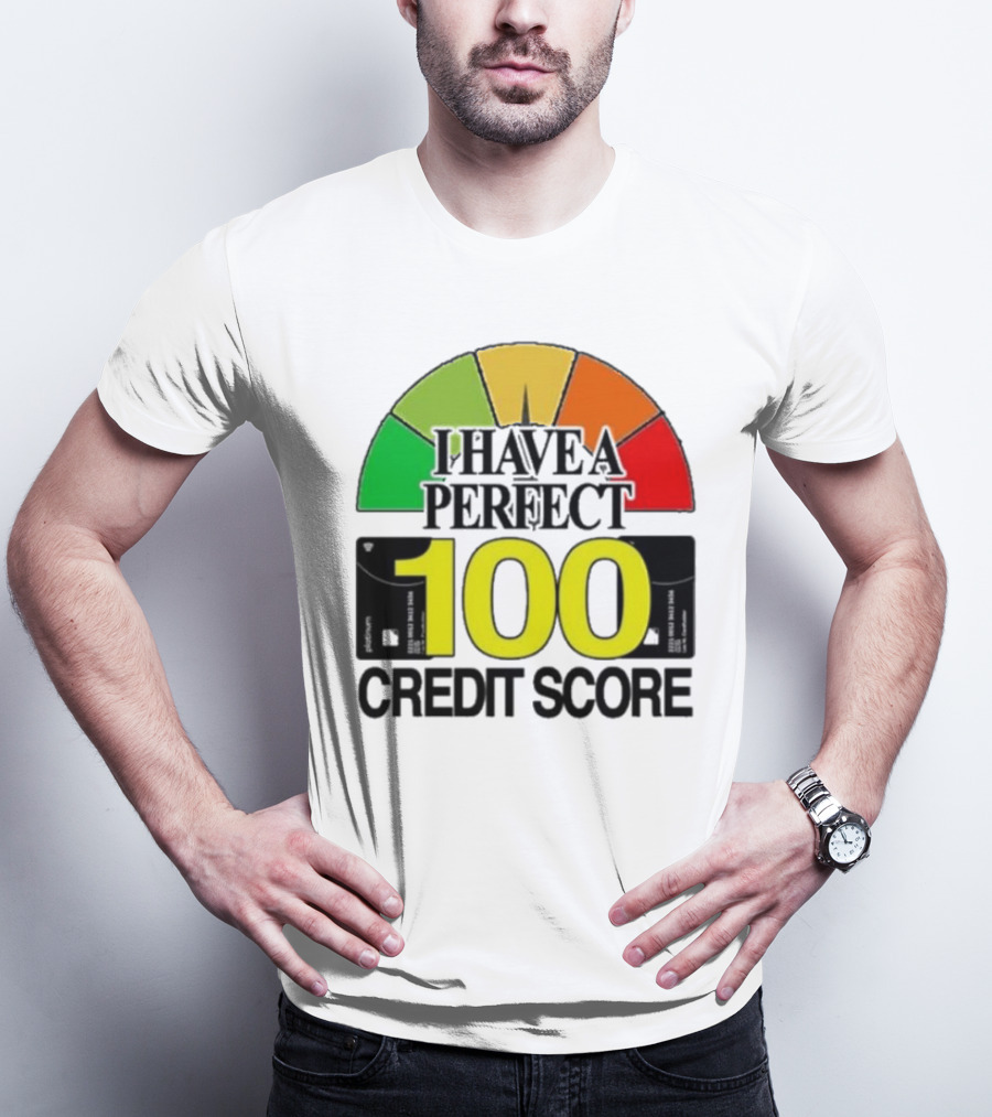 I Have A Perfect 100 Credit Score Gauge Graph T-Shirt