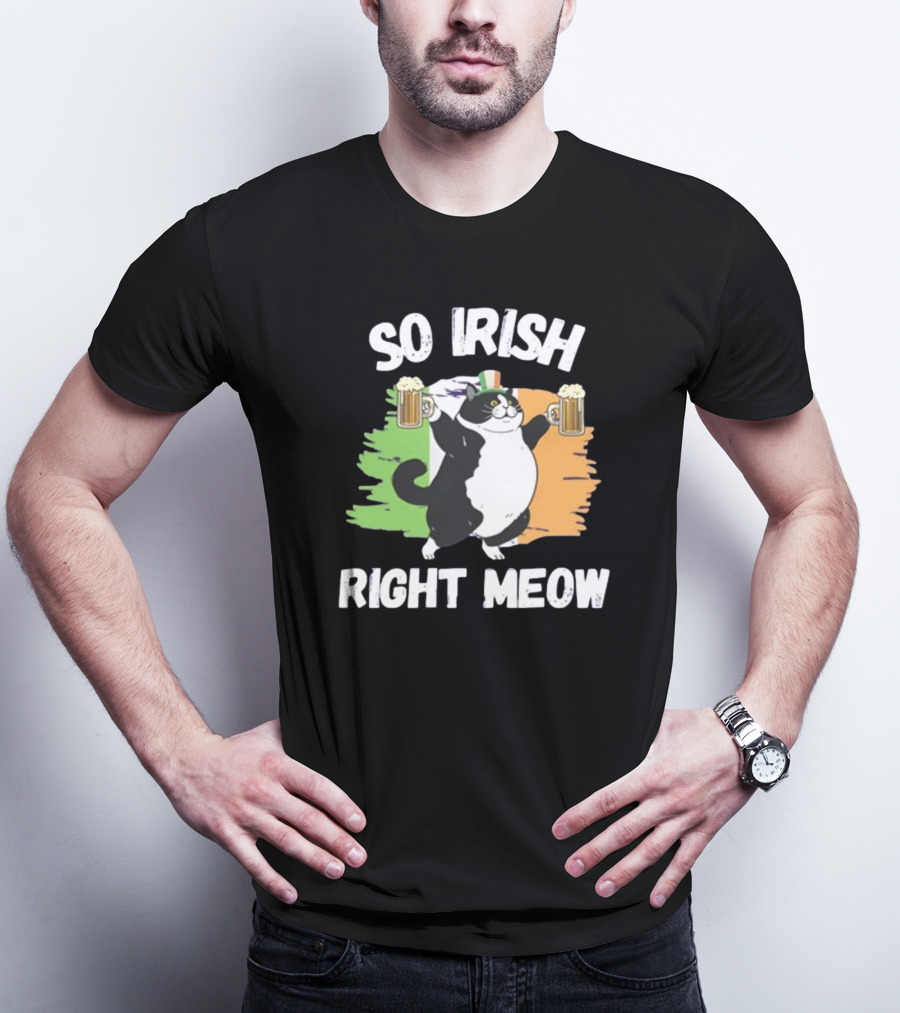 So Irish Right Meow Cat Holding Beer With Irish Flag In Background T-Shirt
