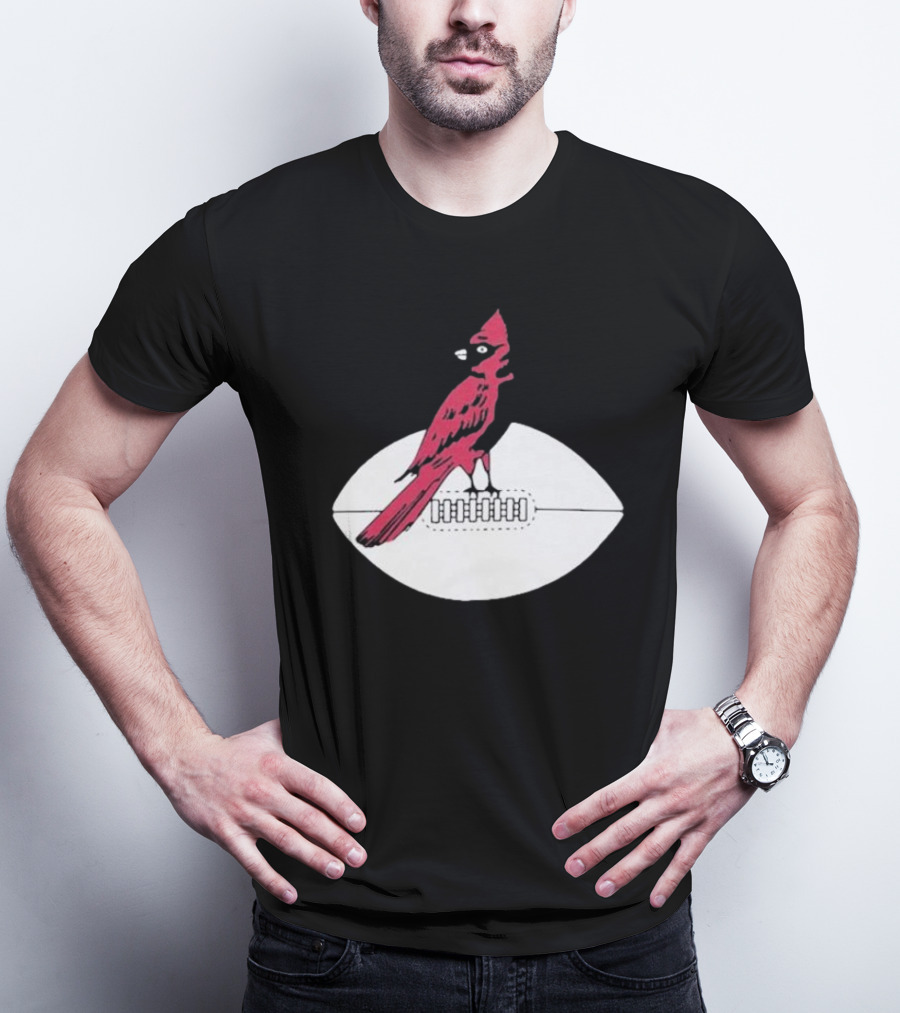 Arizona Cardinals Vintage Cardinal On Football T-Shirt