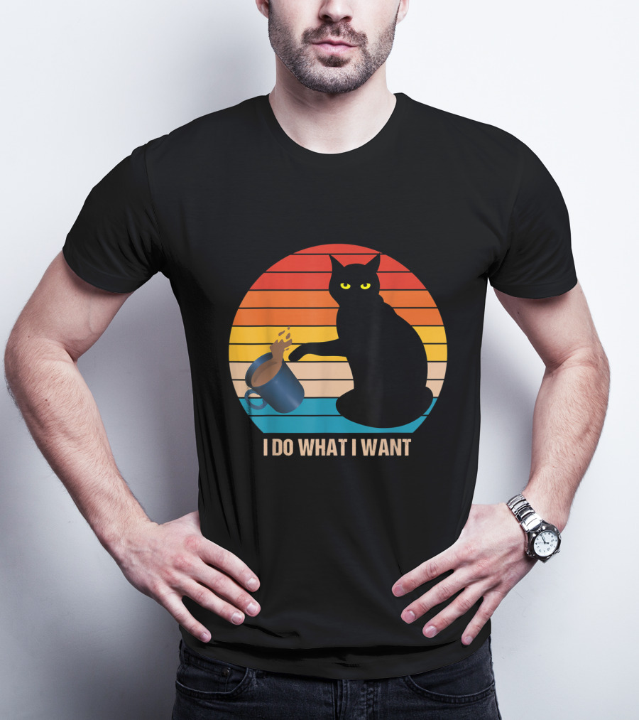Funny Vintage Cat Do What I Want Cat Lover Retro Sunset T-Shirt