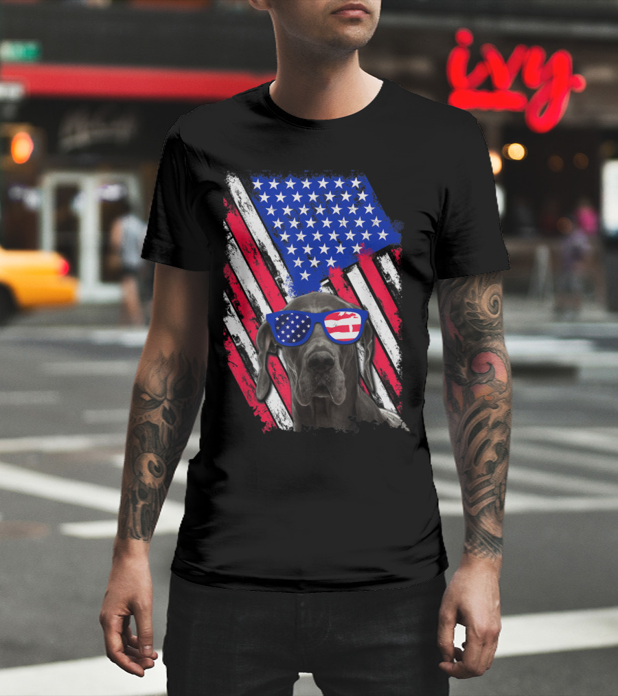 Vintage Distressed Great Dane With American USA Flag Sunglasses T-Shirt