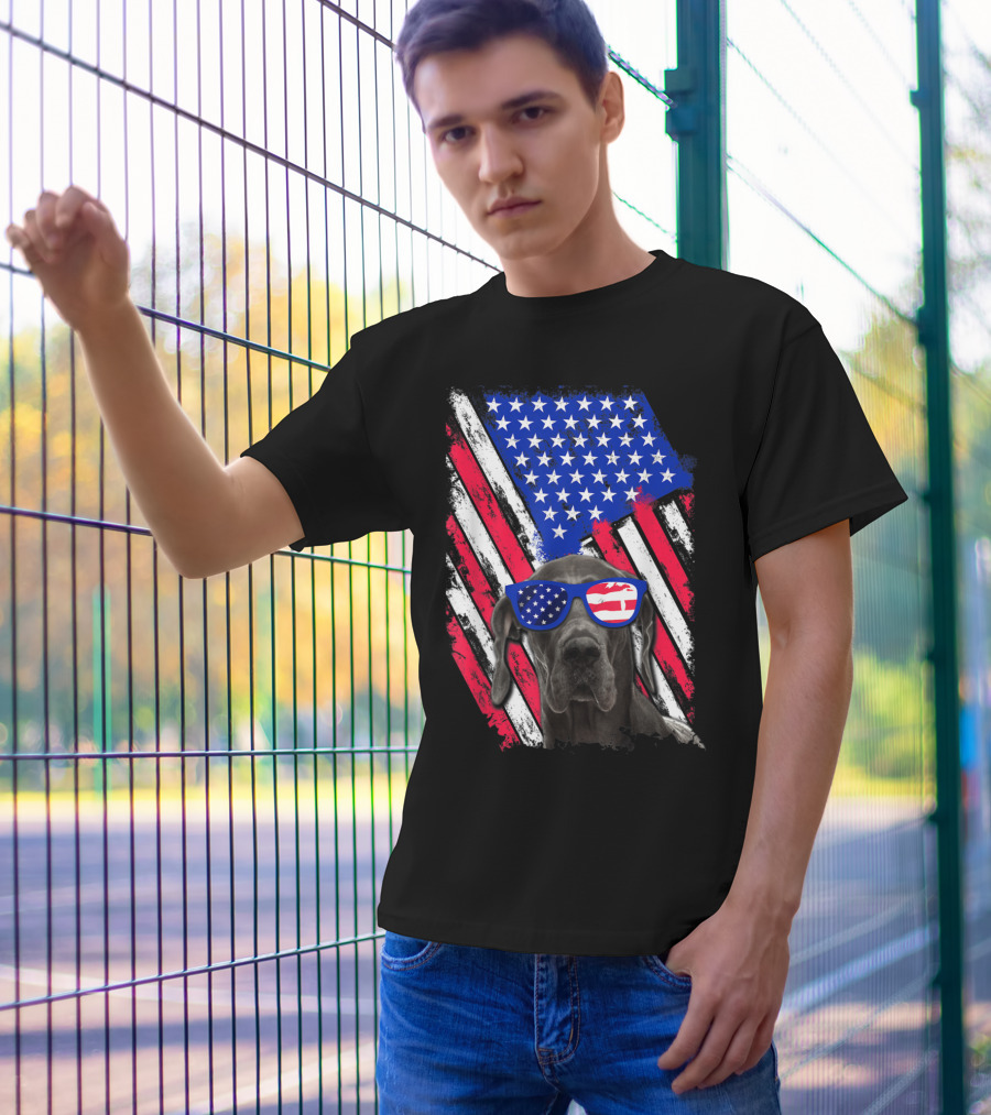 Vintage Distressed Great Dane With American USA Flag Sunglasses T-Shirt