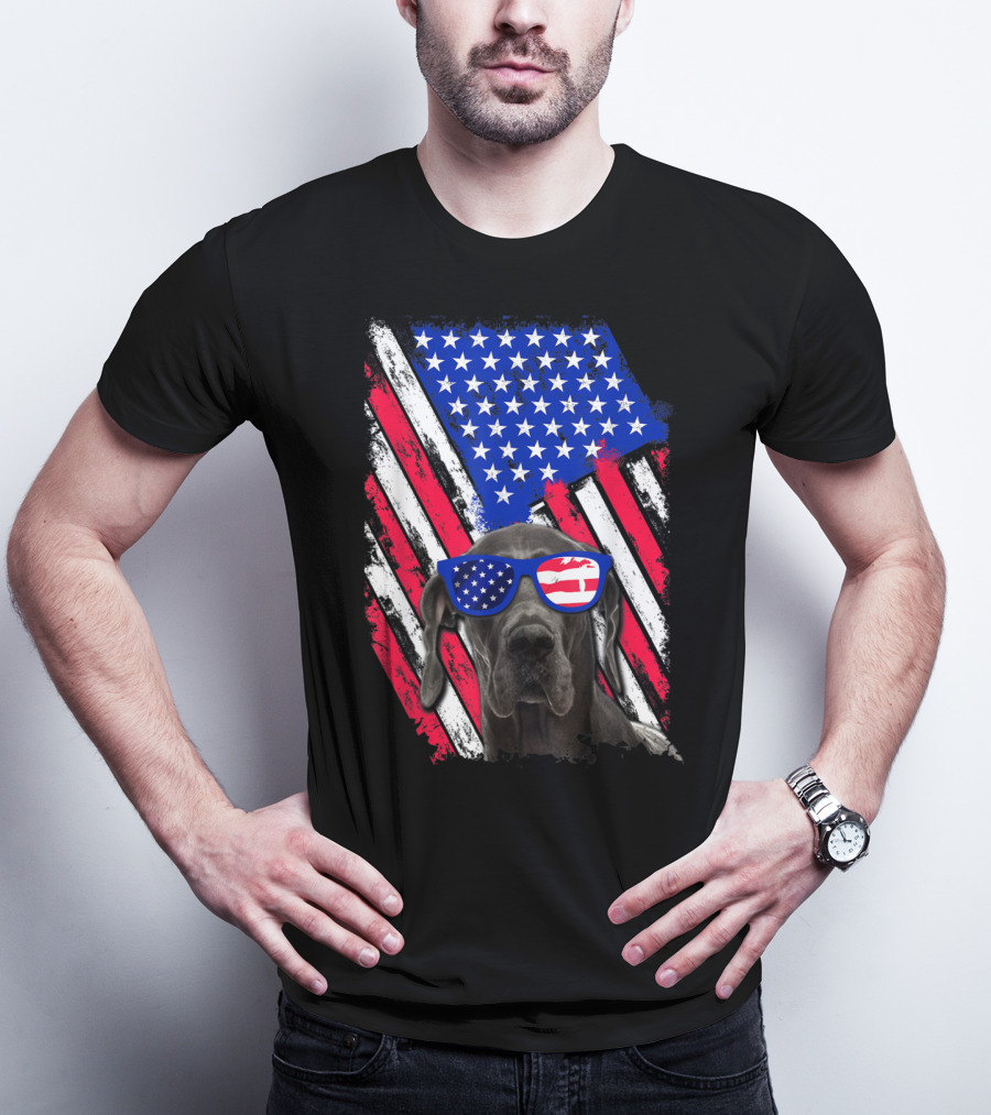 Vintage Distressed Great Dane With American USA Flag Sunglasses T-Shirt