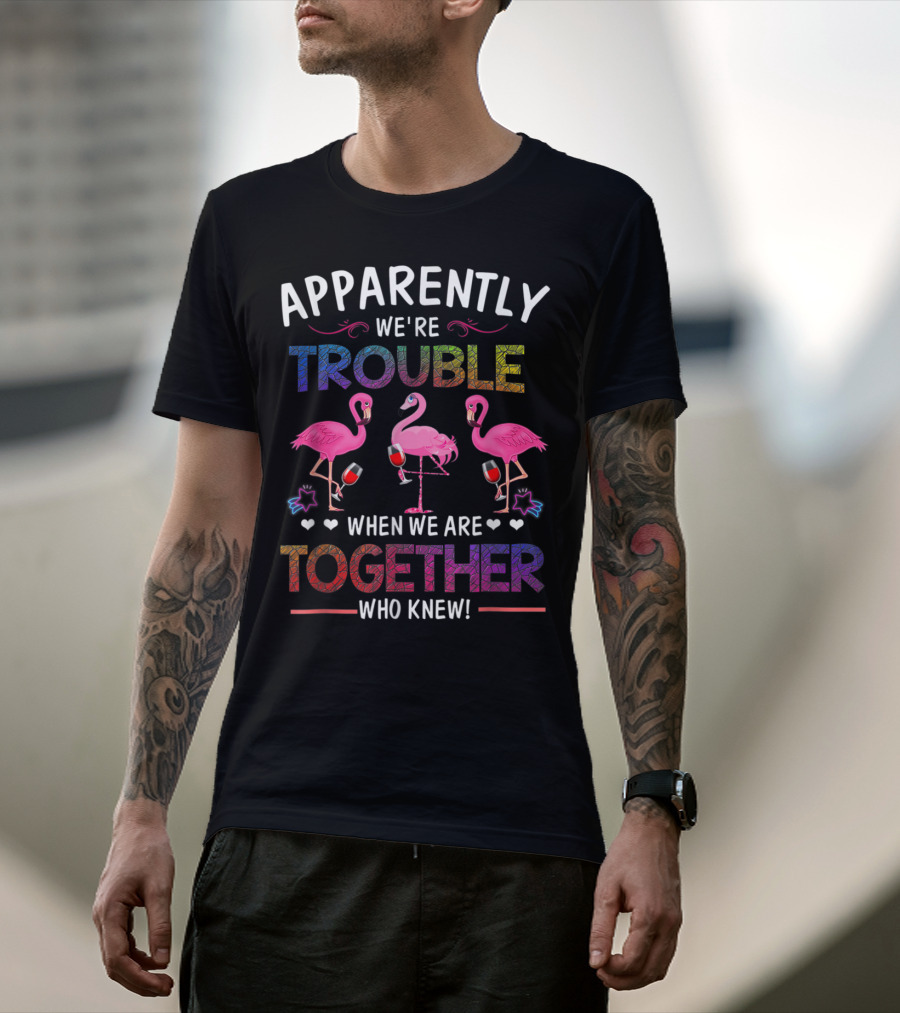Apparently We're Trouble When We Are Together Who Knew Flamingo Wine Glass Party T-Shirt