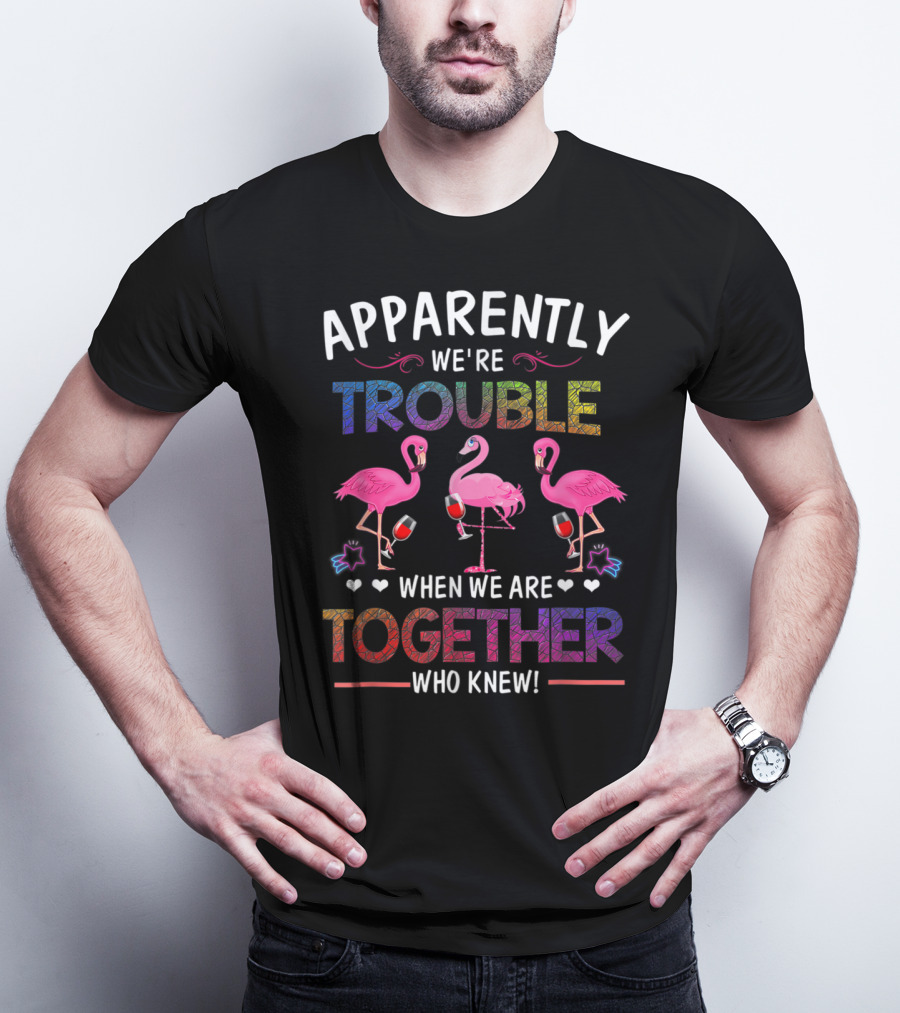Apparently We're Trouble When We Are Together Who Knew Flamingo Wine Glass Party T-Shirt
