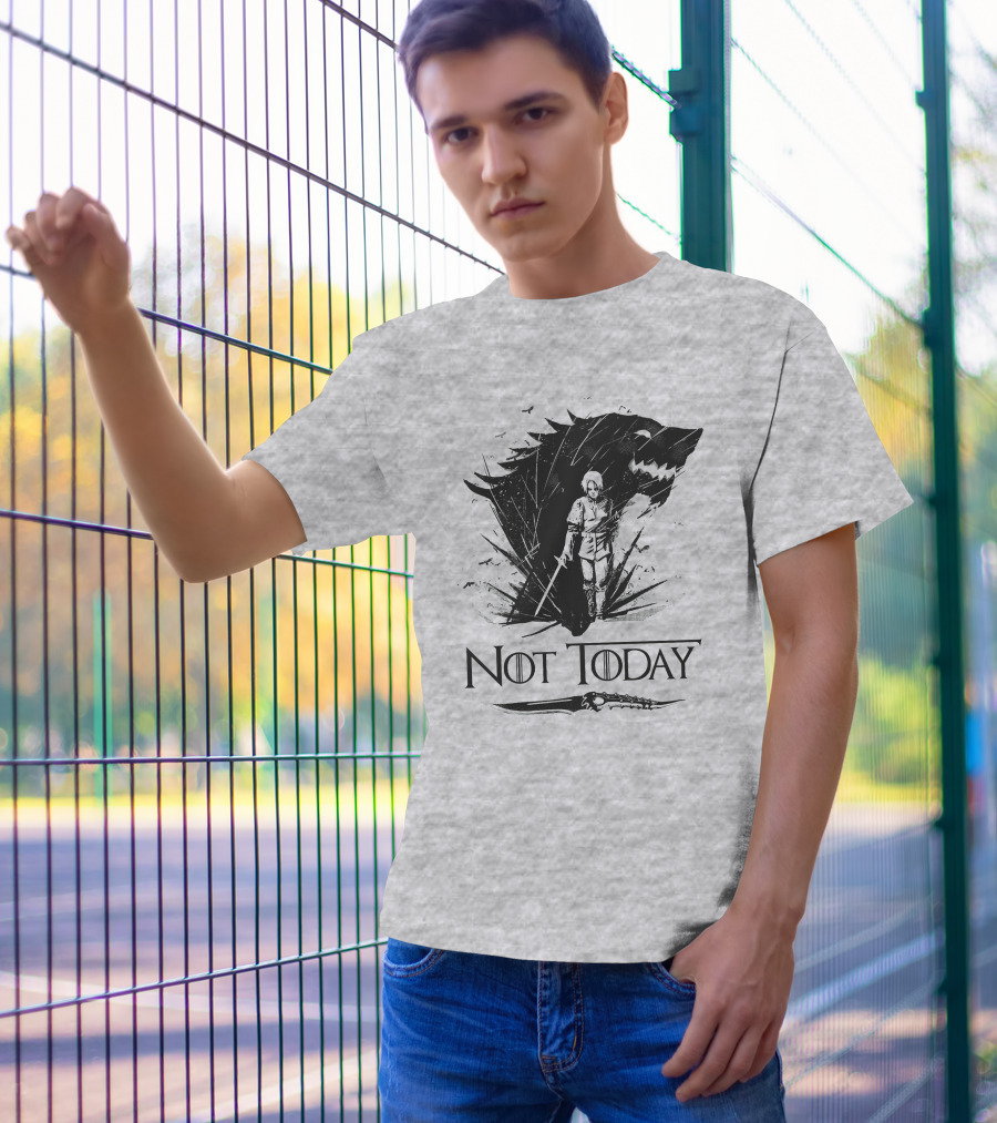 Not Today Wolf Sword Warrior Art ZN4 T-Shirt