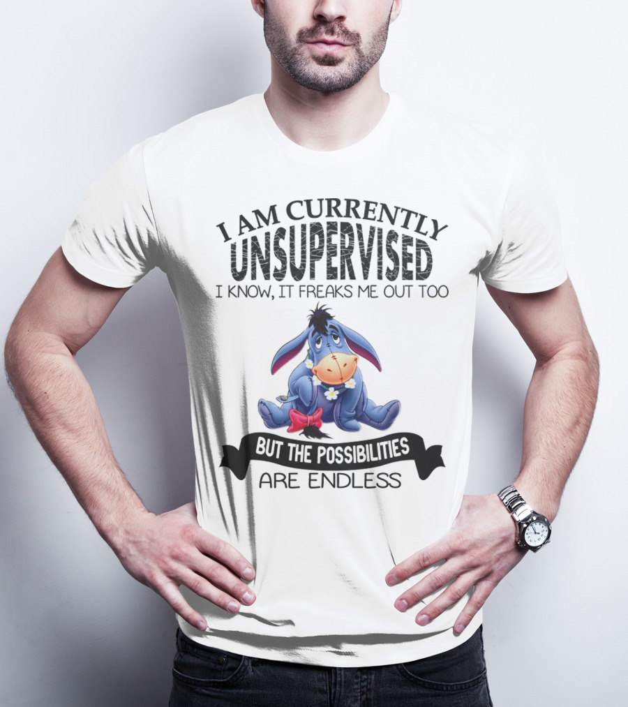Eeyore Currently Unsupervised I Know It Freaks Me Out Too But The Possibilities Are Endless T-Shirt