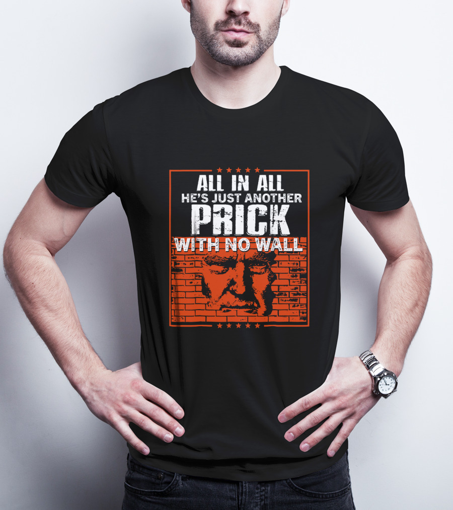 All In All He's Just Another Prick With No Wall With Brick Background T-Shirt
