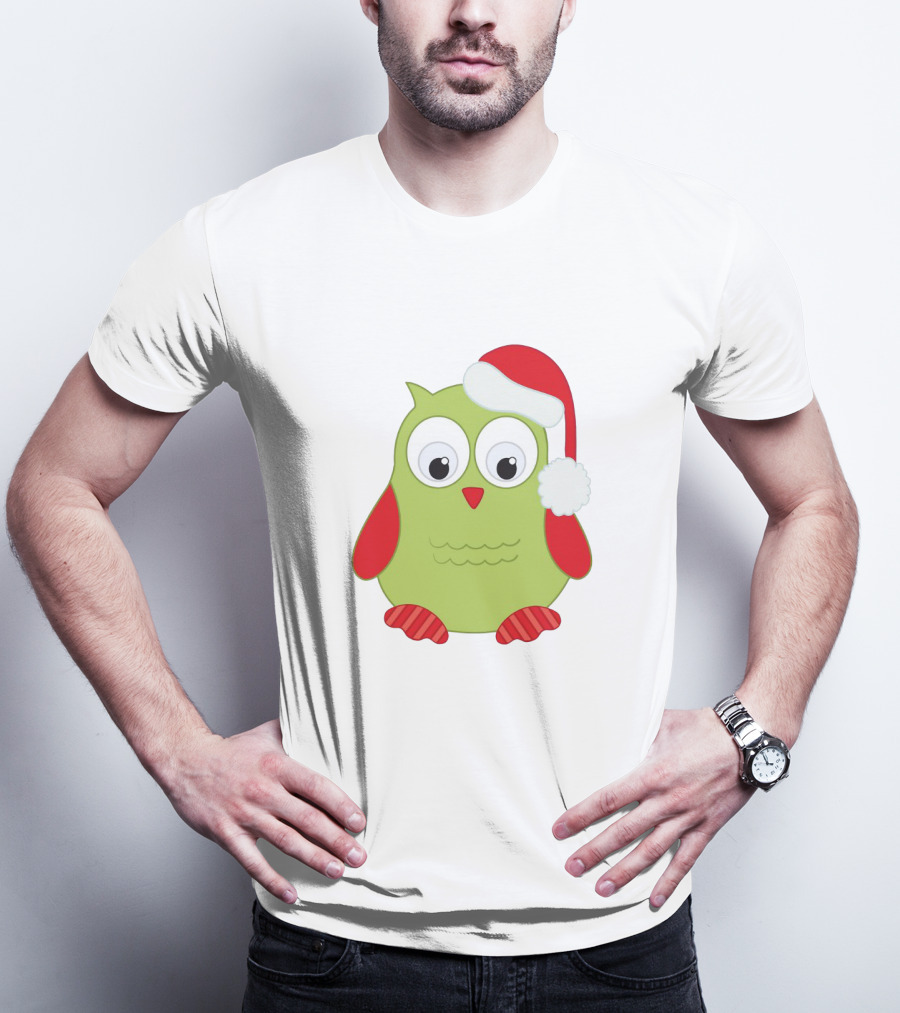 Cute Santa Owl Christmas Green And Red Cartoon Owl Santa Hat T-Shirt