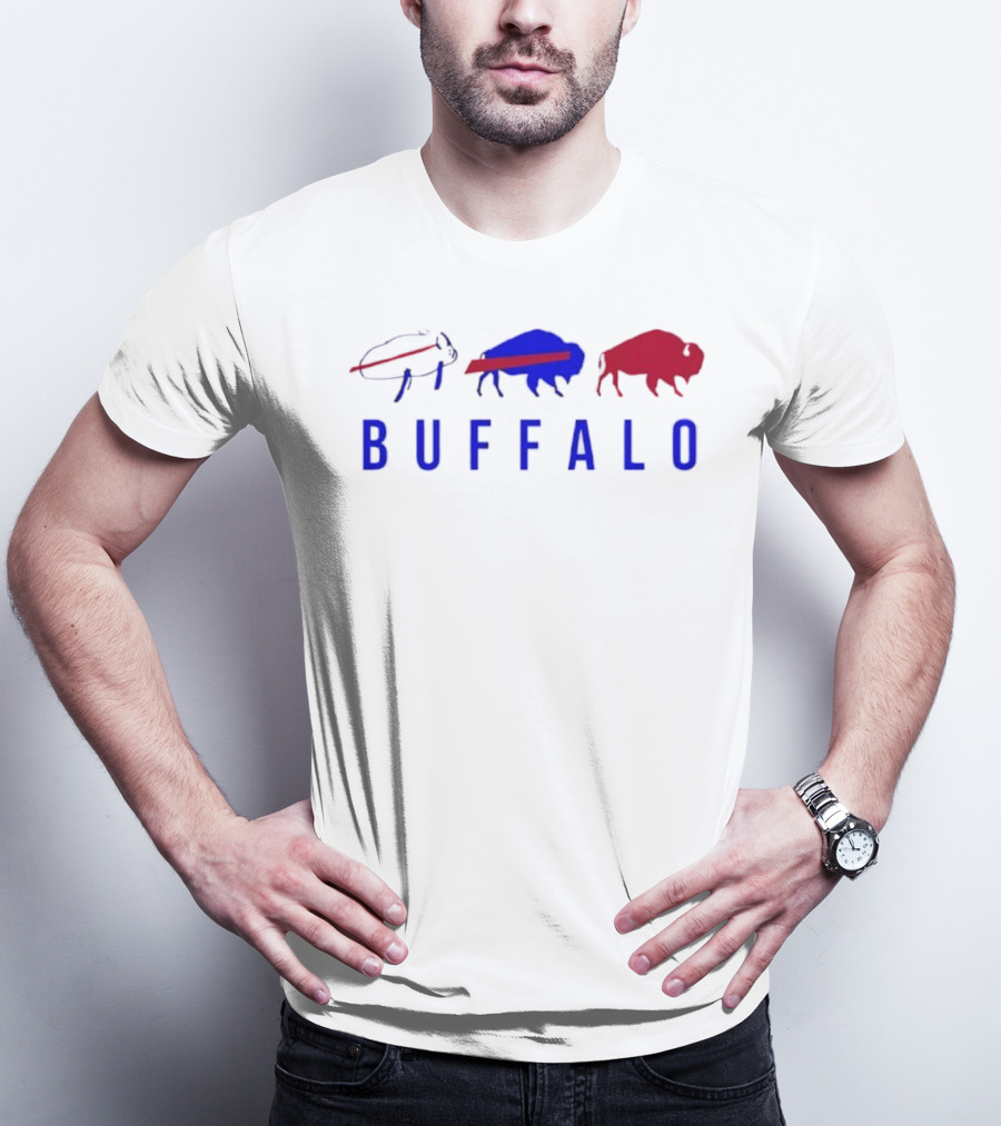 Buffalo Bills Evolution Vintage Retro Styles T-Shirt