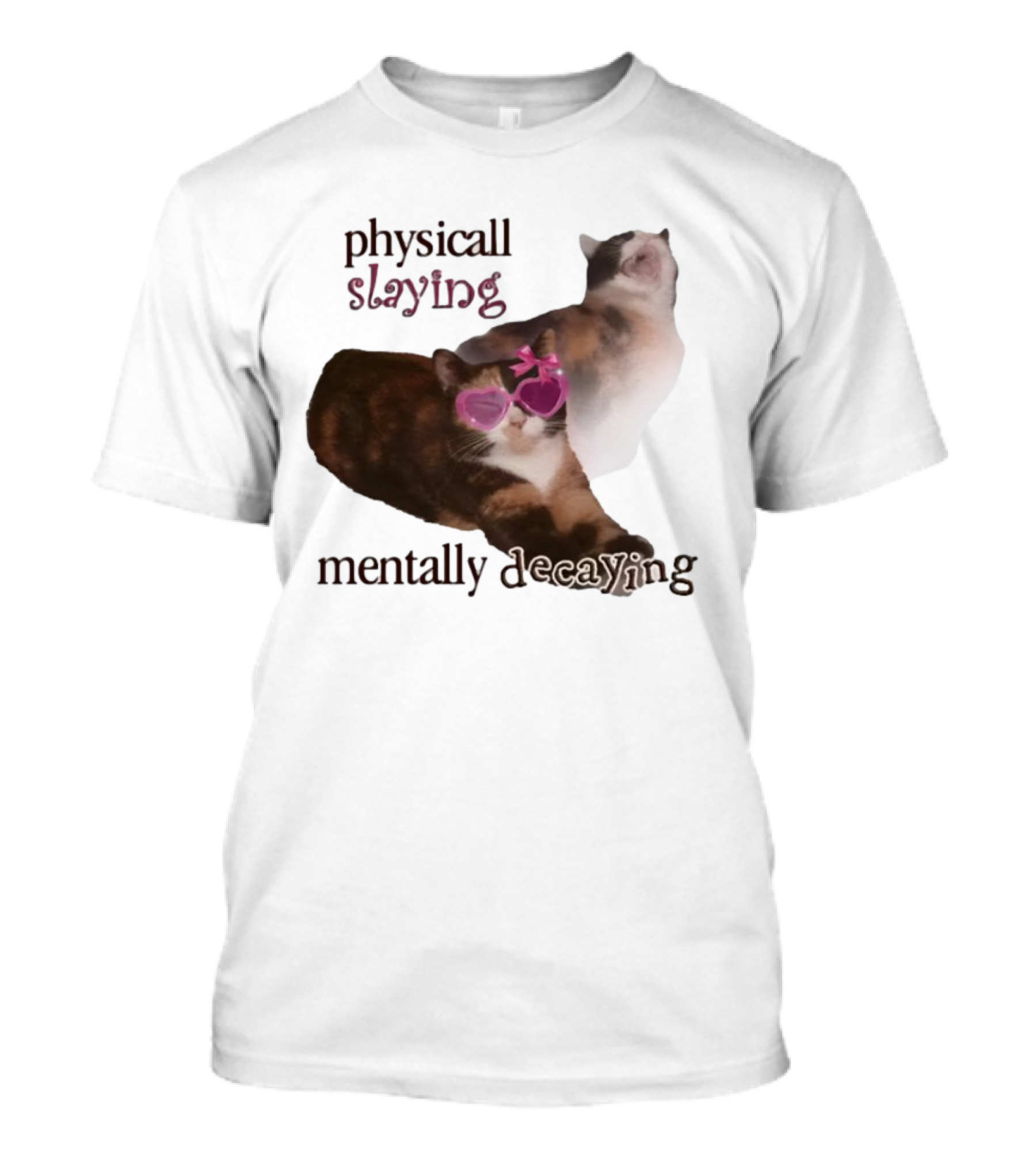 ```Snazzyseagull Physically Slaying Mentally Decaying Cat With Pink Heart Sunglasses``` T-Shirt