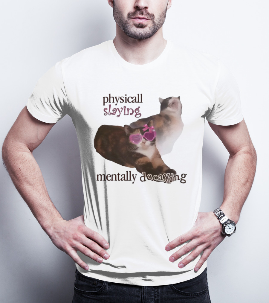 ```Snazzyseagull Physically Slaying Mentally Decaying Cat With Pink Heart Sunglasses``` T-Shirt