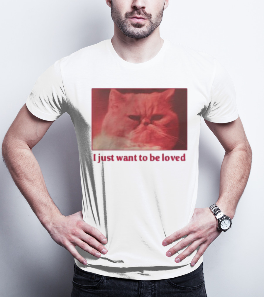 Volodymyr Testardі I Just Want To Be Loved Grumpy Cat Red Tones T-Shirt