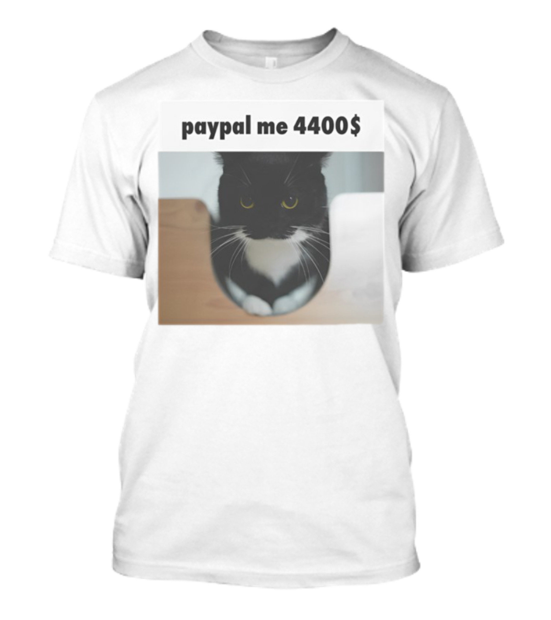 Paypal Me 4400$ Black Cat T-Shirt
