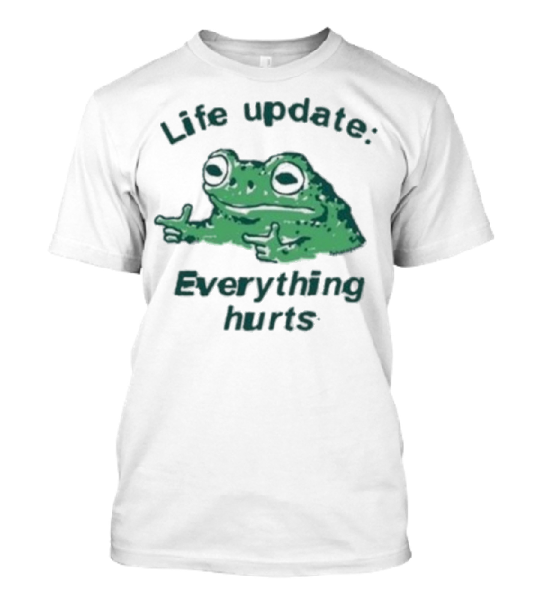Life Update Everything Hurts Frog Expression Meme T-Shirt