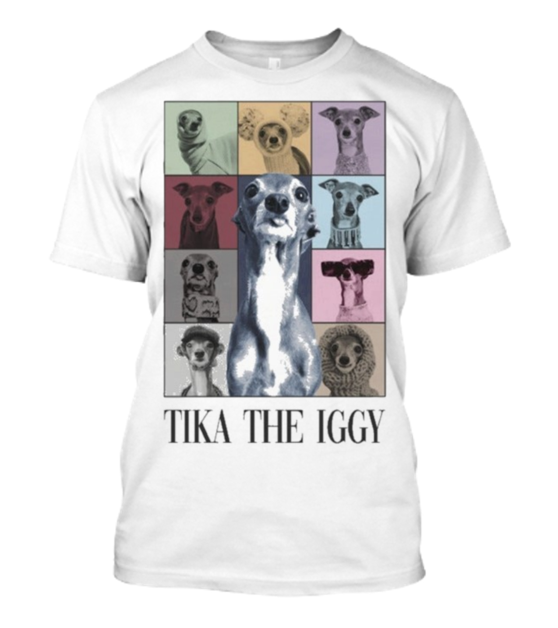 Tika The Iggy Through The Years Eras Tour T-Shirt
