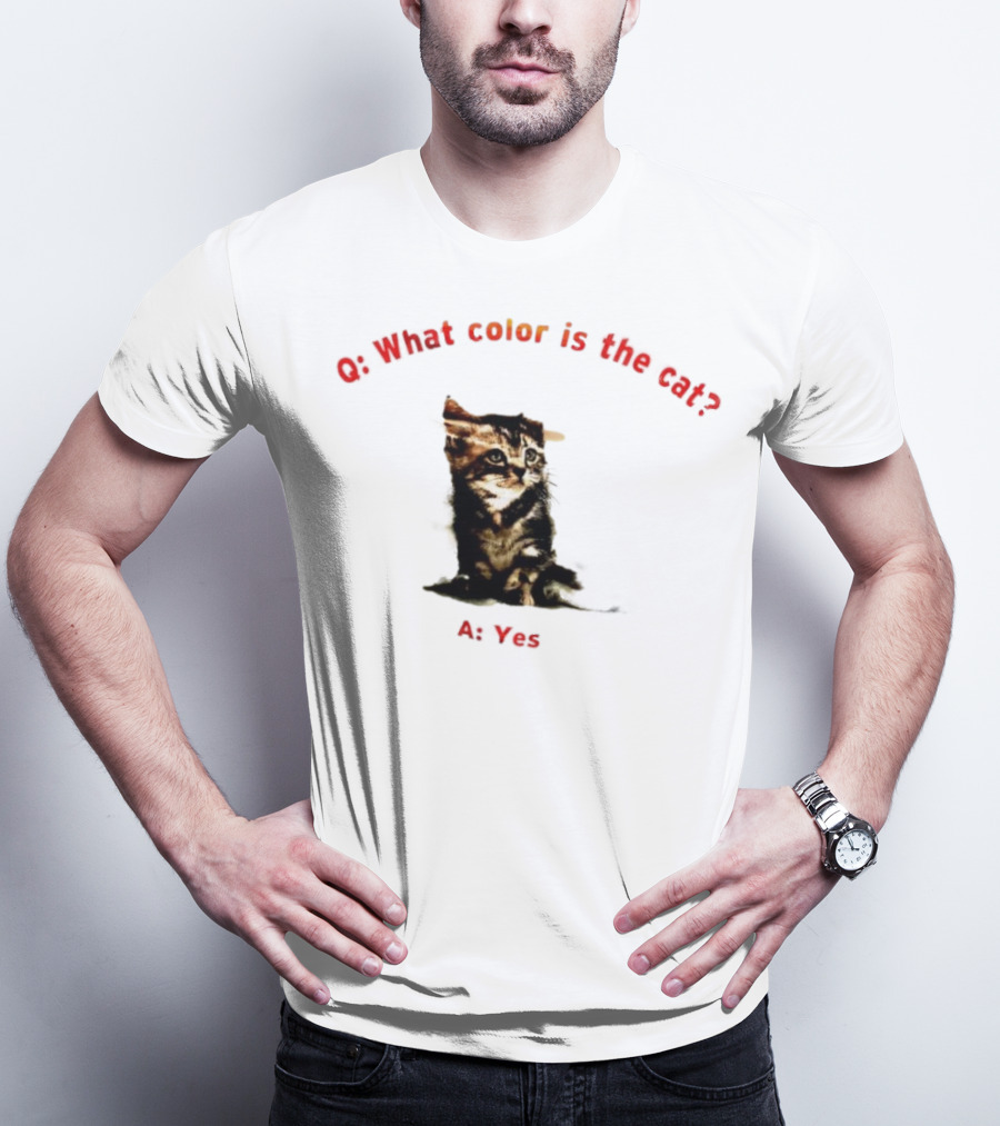 What Color Is The Cat Yes Kitten T-Shirt