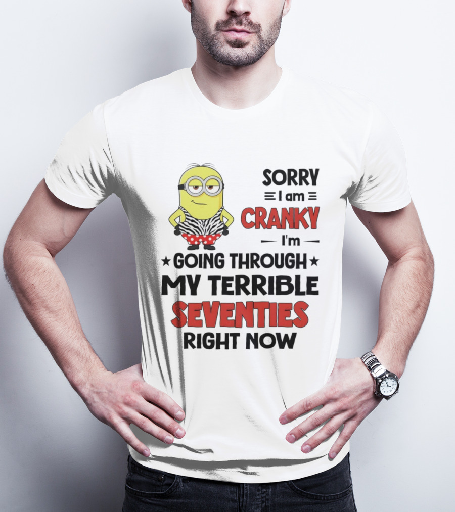 Sorry I Am Cranky Going Through My Terrible Seventies Minion T-Shirt