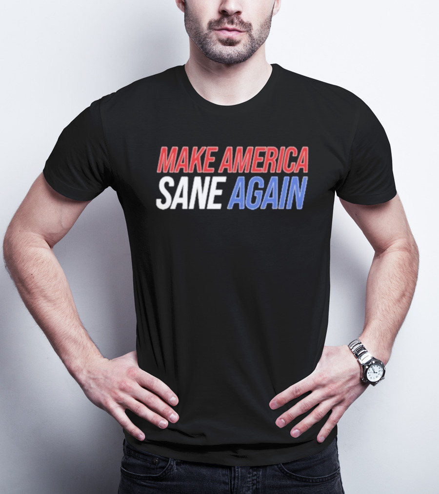 Duke Gomez Make America Sane Again Red White Blue Text T-Shirt