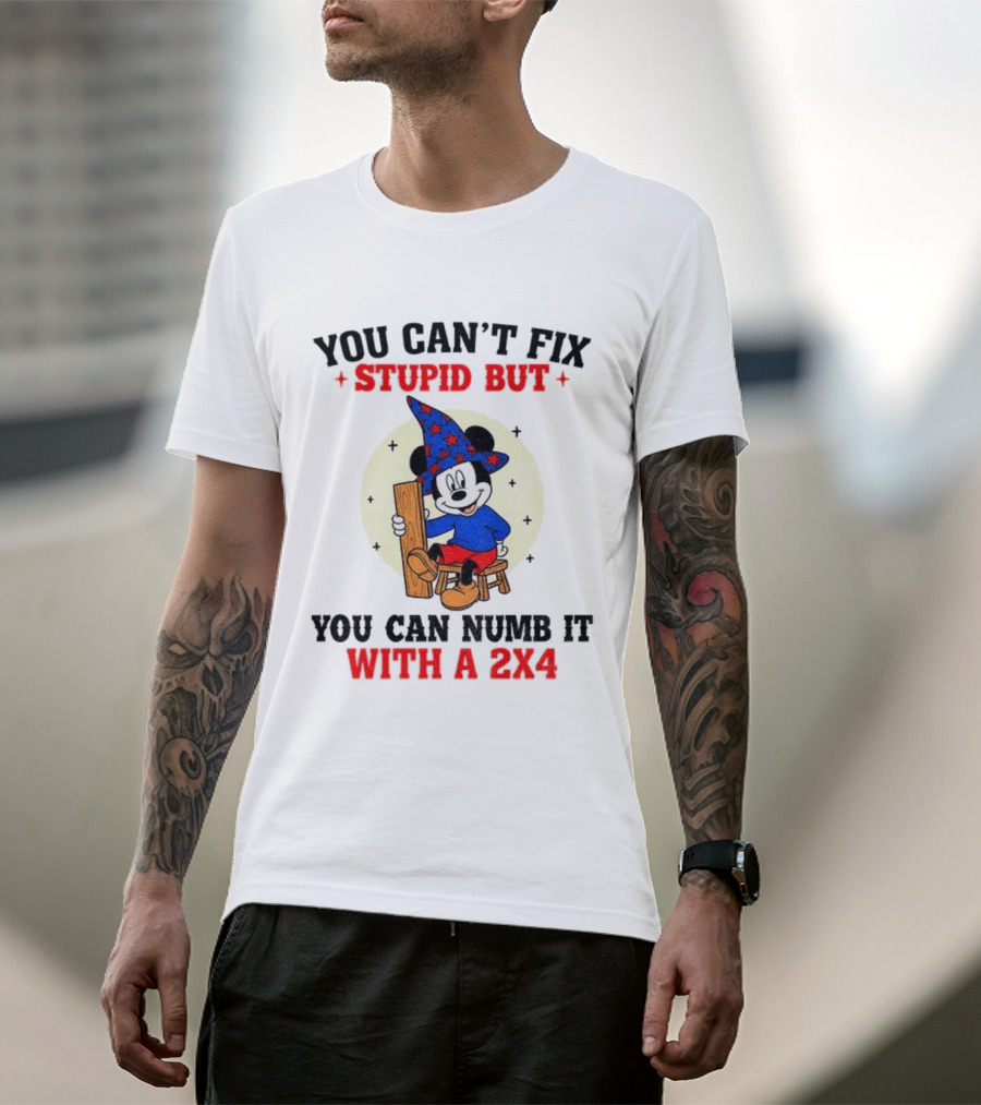 You Can't Fix Stupid But You Can Numb It With A 2x4 Mickey Witch T-Shirt