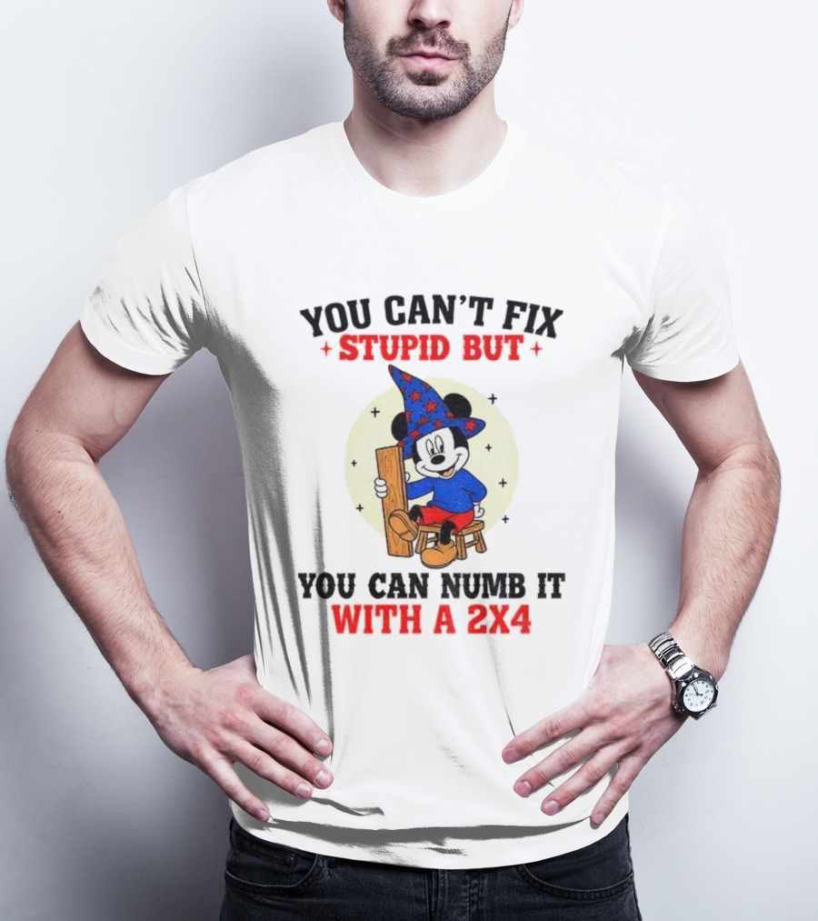 You Can't Fix Stupid But You Can Numb It With A 2x4 Mickey Witch T-Shirt