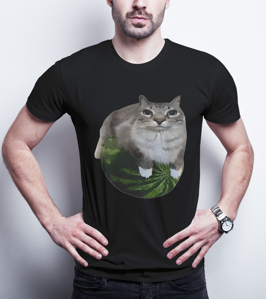 Watermelon Cat Meme Humor Collage T-Shirt