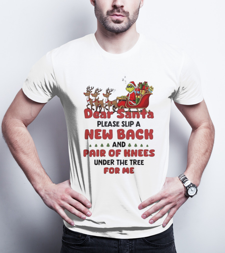Dear Santa Grinch New Back Pair Of Knees Christmas Humor T-Shirt