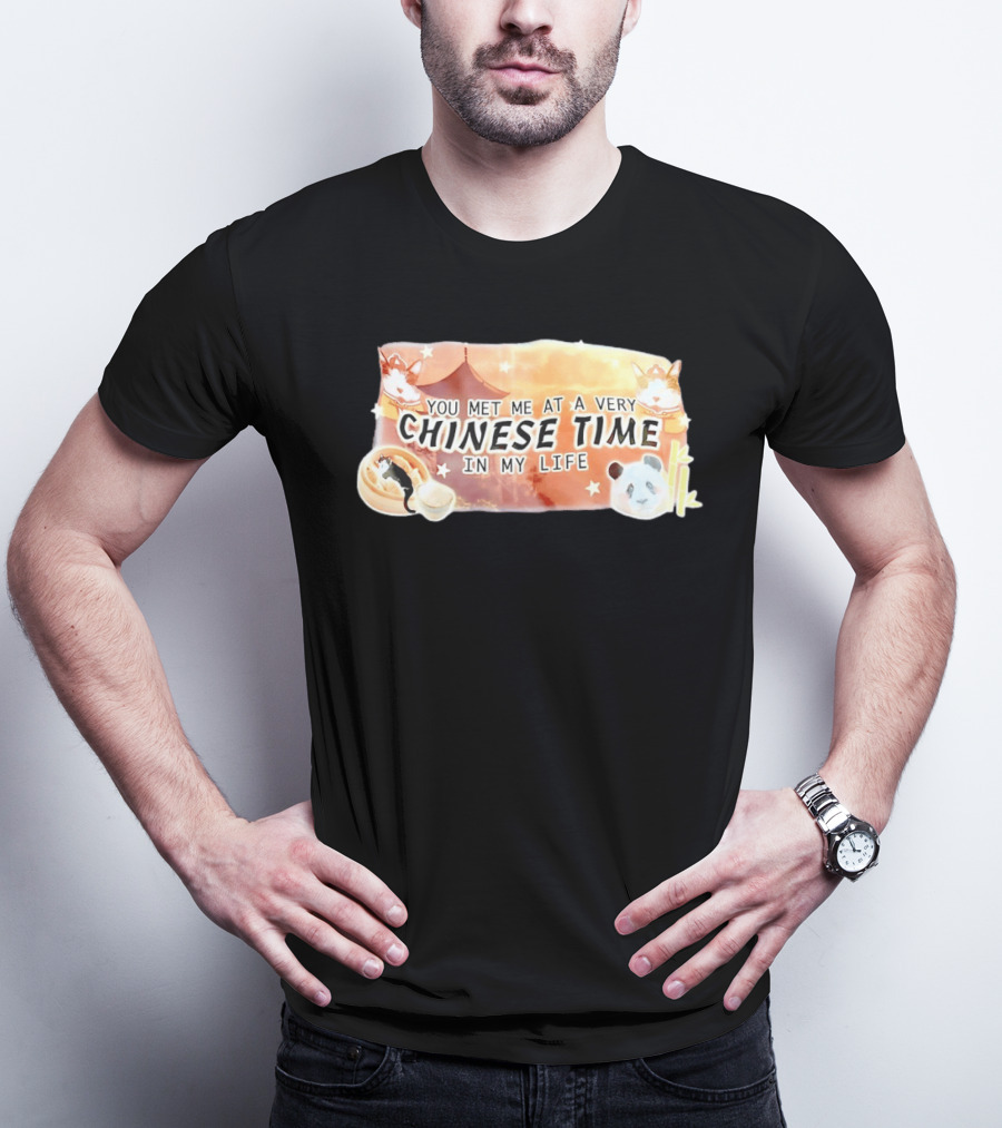 You Met Me At A Very Chinese Time Panda Dumplings Chopsticks Cat Pagoda T-Shirt