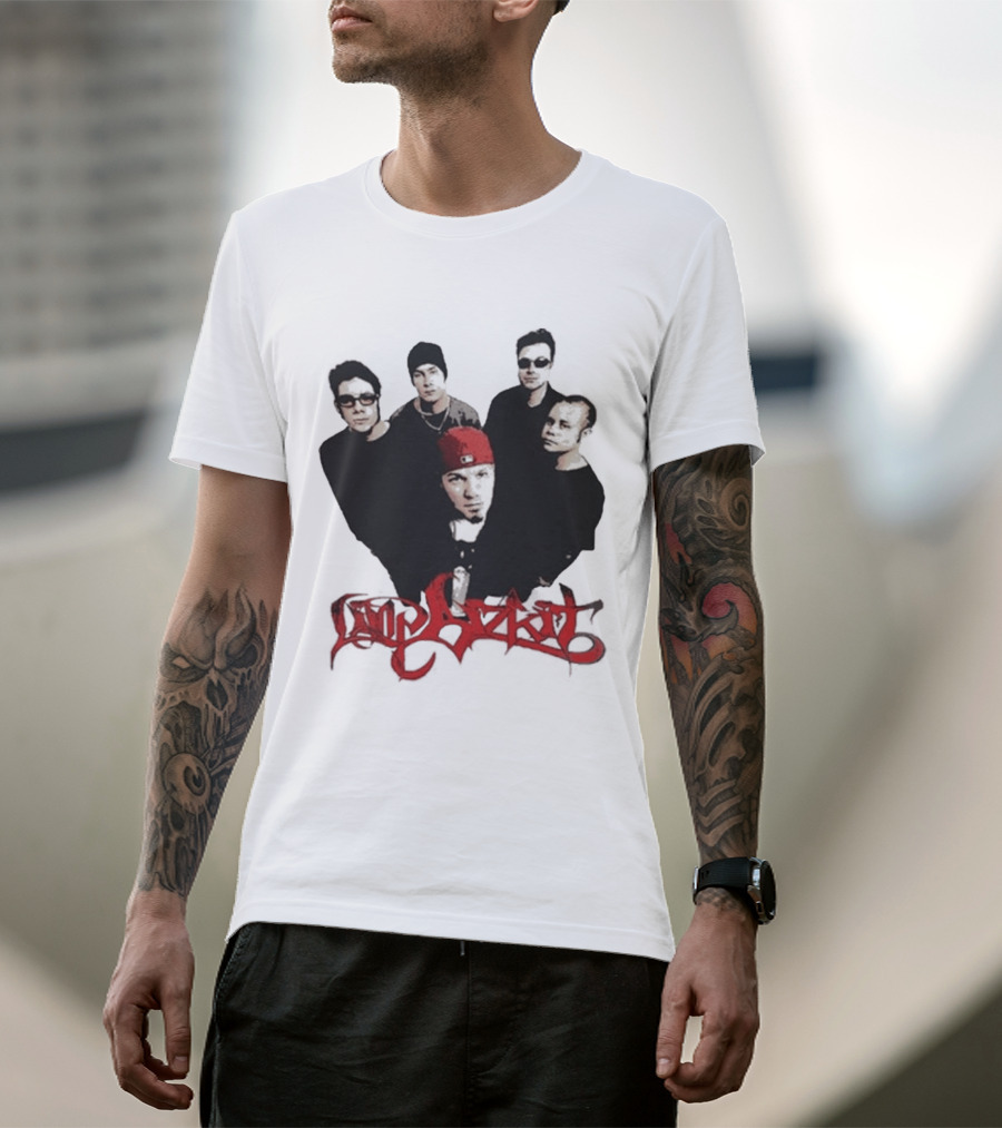 What Do You Guys Think Of My Limp Bizkit Band Members T-Shirt