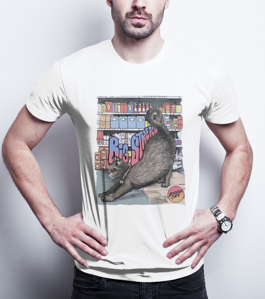 Big Stretch Bodega Cats Groceries Stack T-Shirt