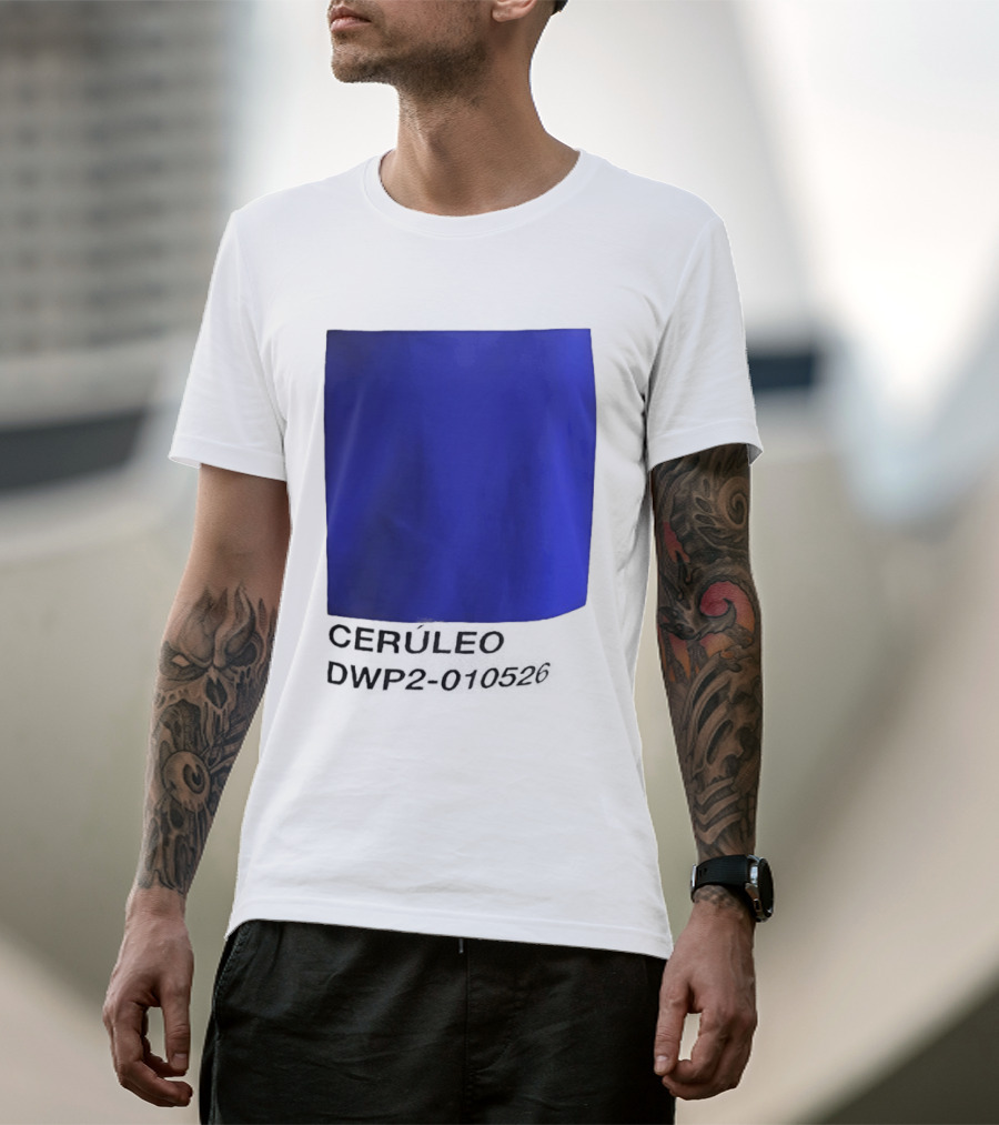 Ceruleo DWP2 010526 T-Shirt