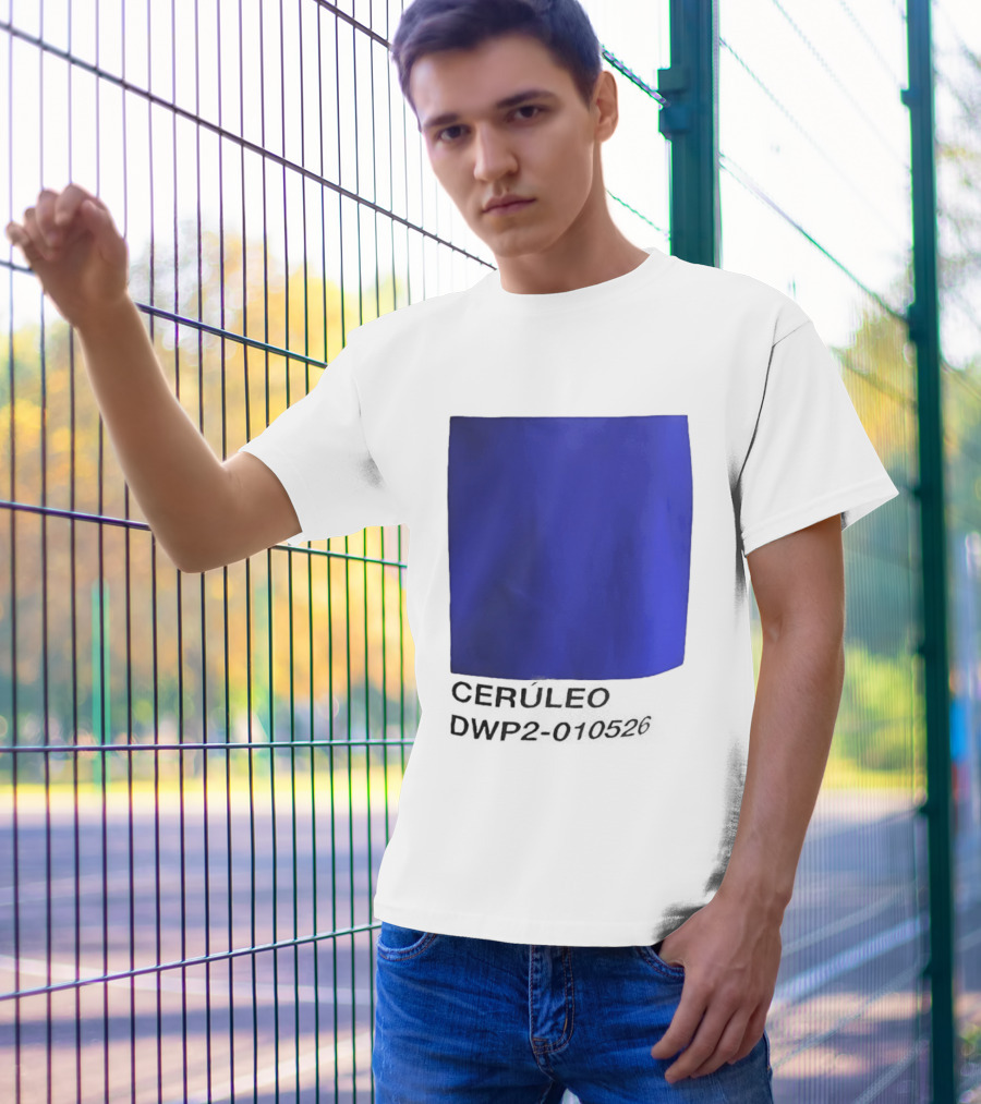 Ceruleo DWP2 010526 T-Shirt