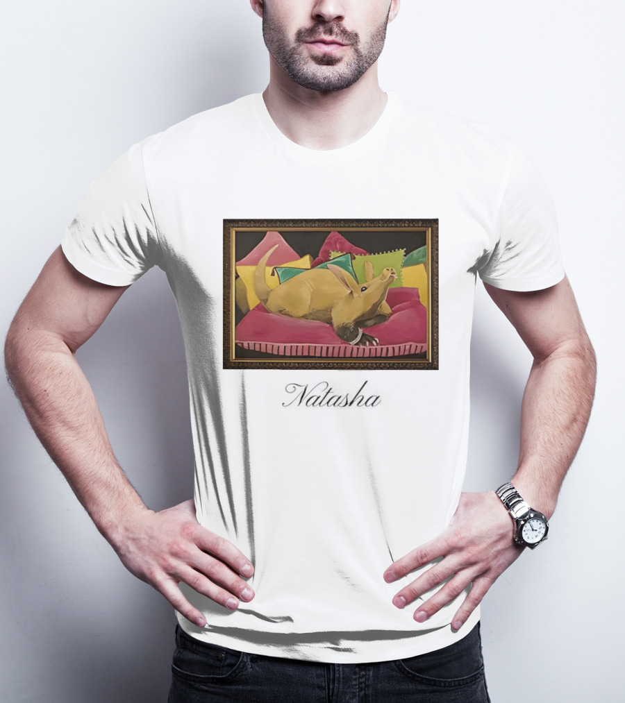 Natasha Painting Photo Flame Armadillo On Pillows Framed T-Shirt