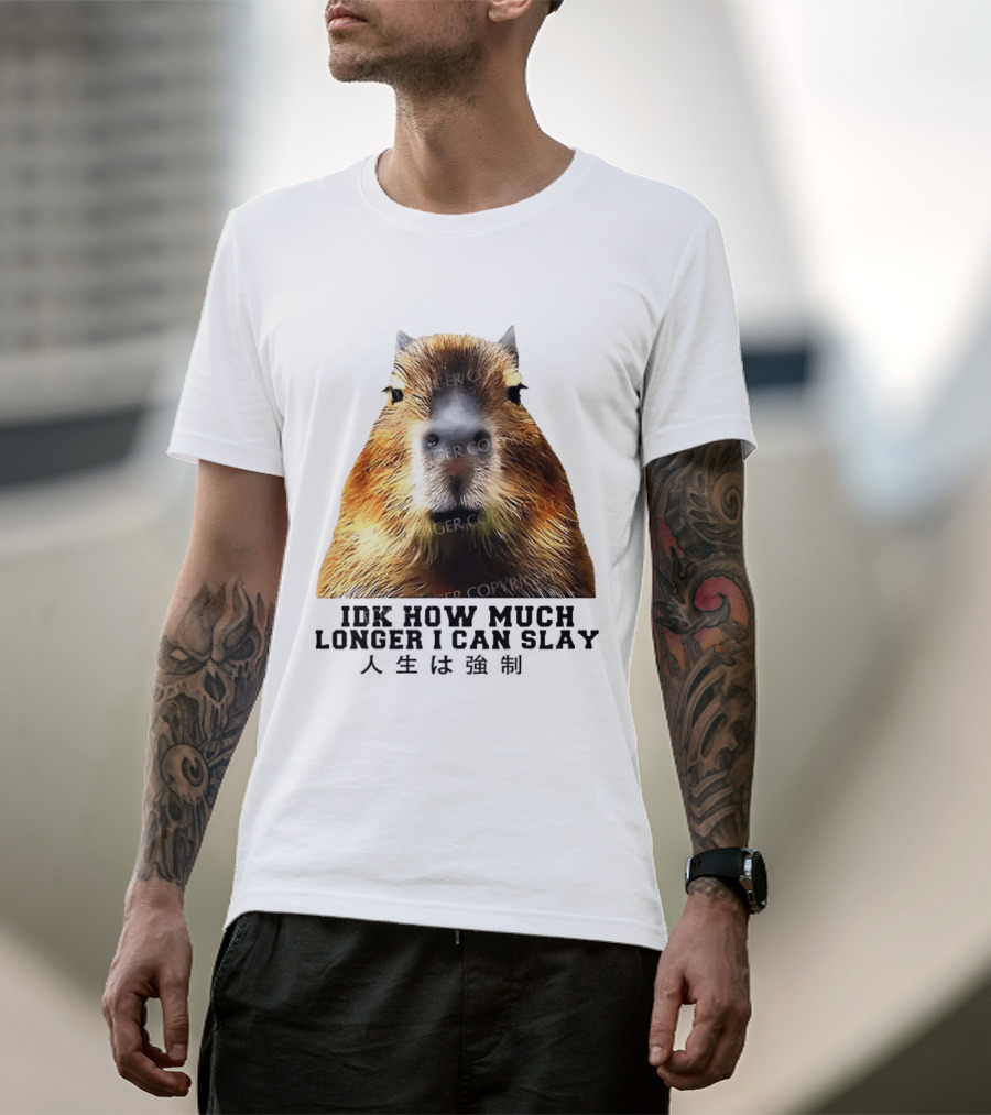 Capybara Idk How Much Longer I Can Slay T-Shirt
