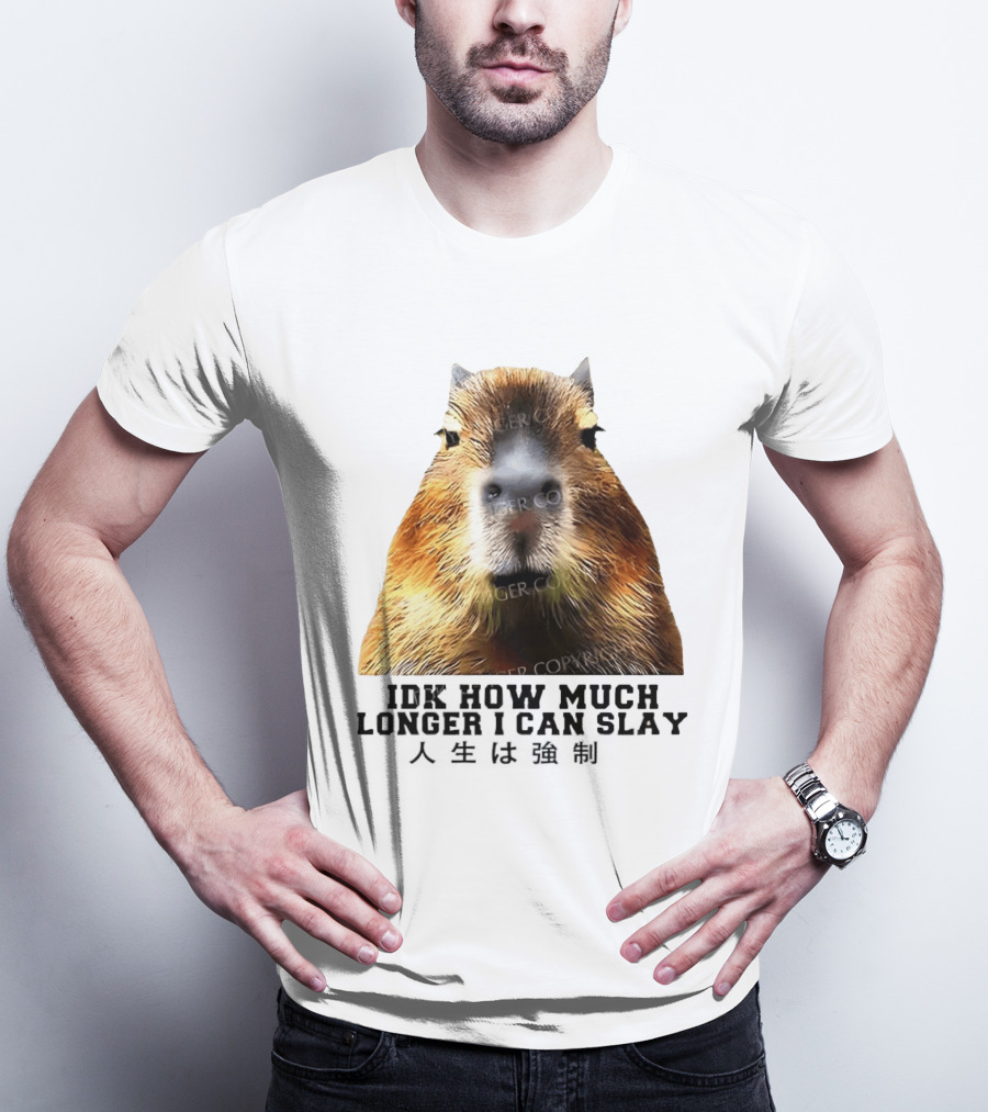 Capybara Idk How Much Longer I Can Slay T-Shirt