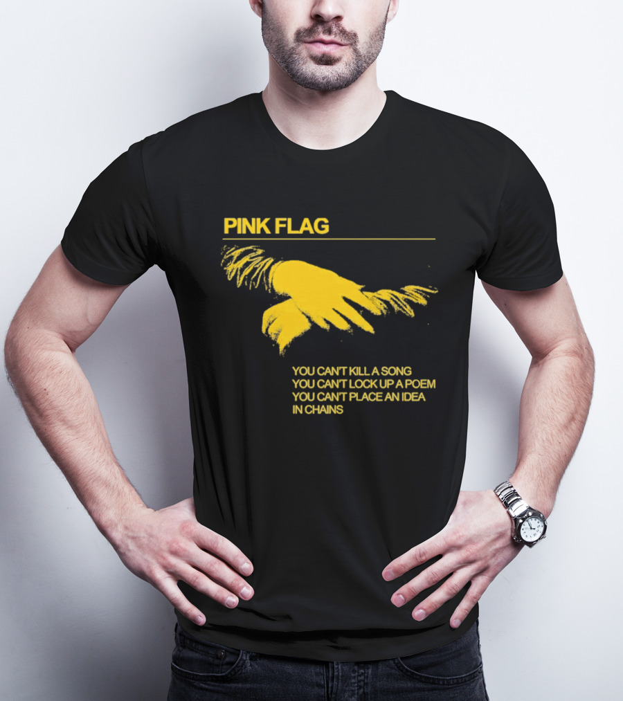 Pink Flag You Can't Kill A Song Poem Idea In Chains T-Shirt