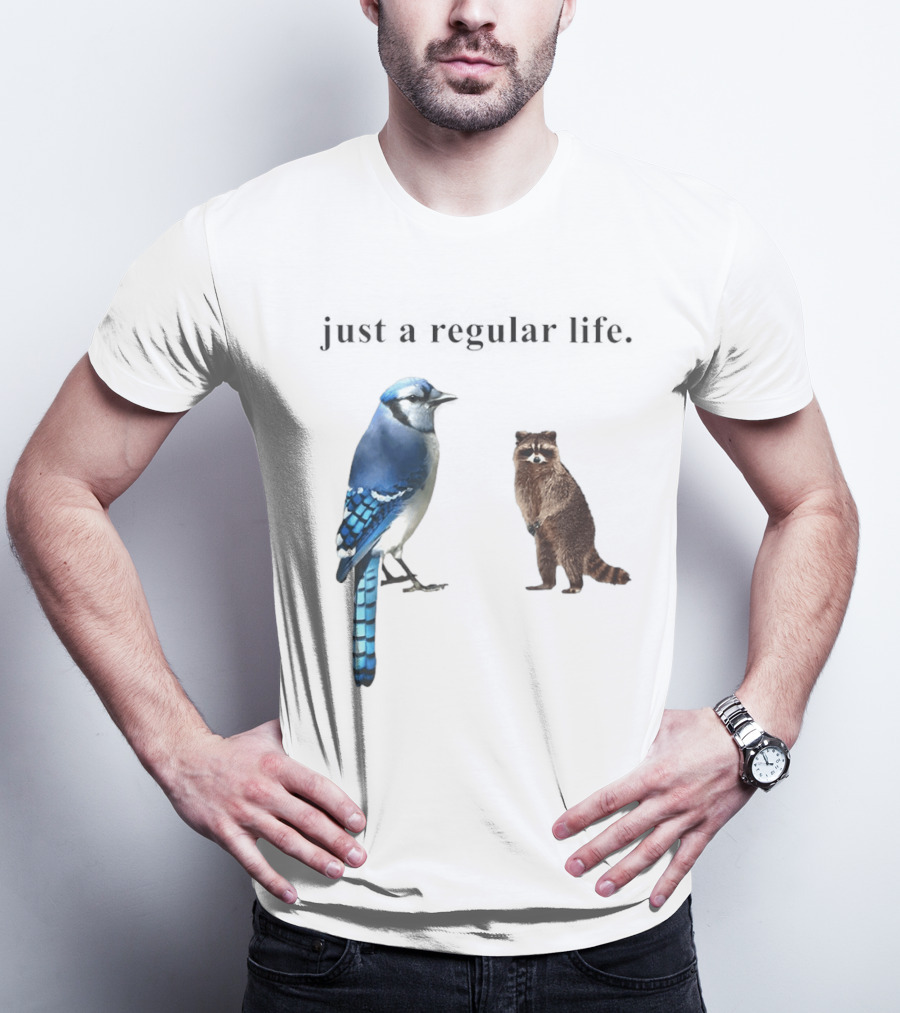 Just A Regular Life Raccoon And Bird Regular Show T-Shirt