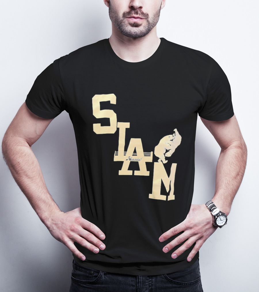 Slam Boxing Bear Fist Punch T-Shirt