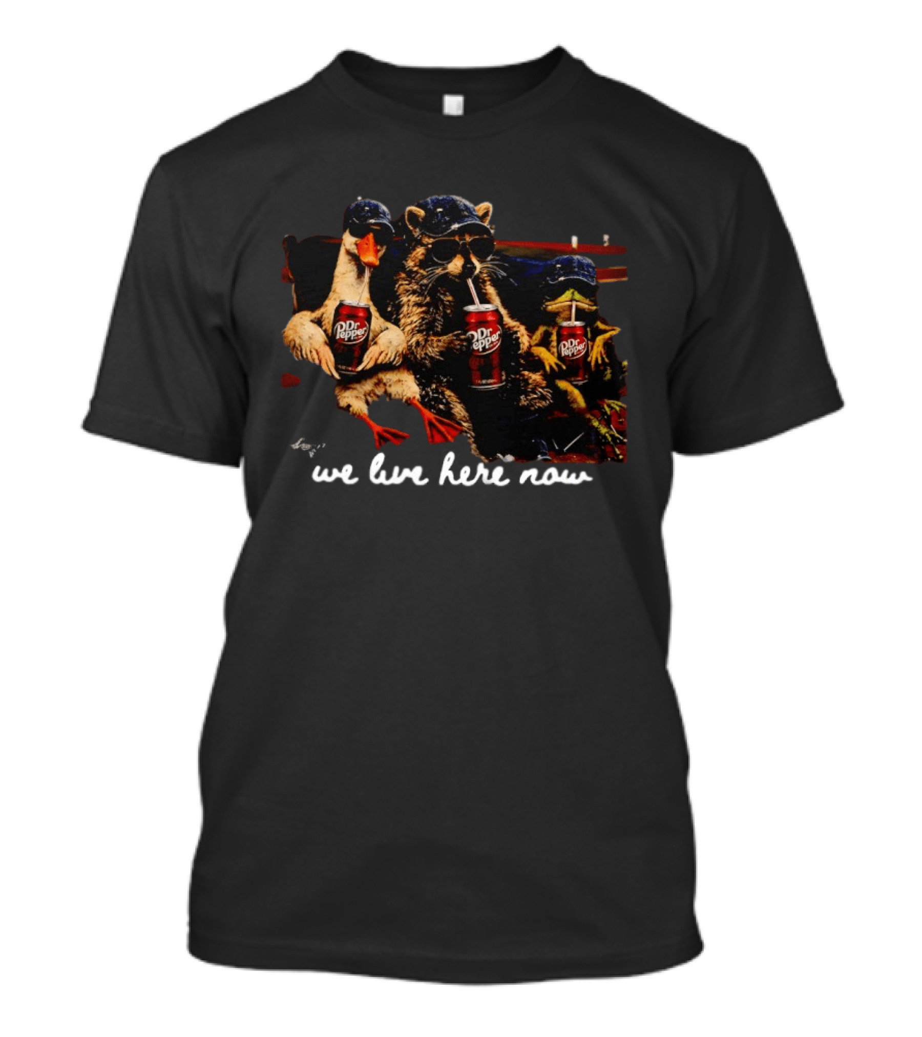 We Live Here Now Goose Raccoon Dr Pepper Meme T-Shirt