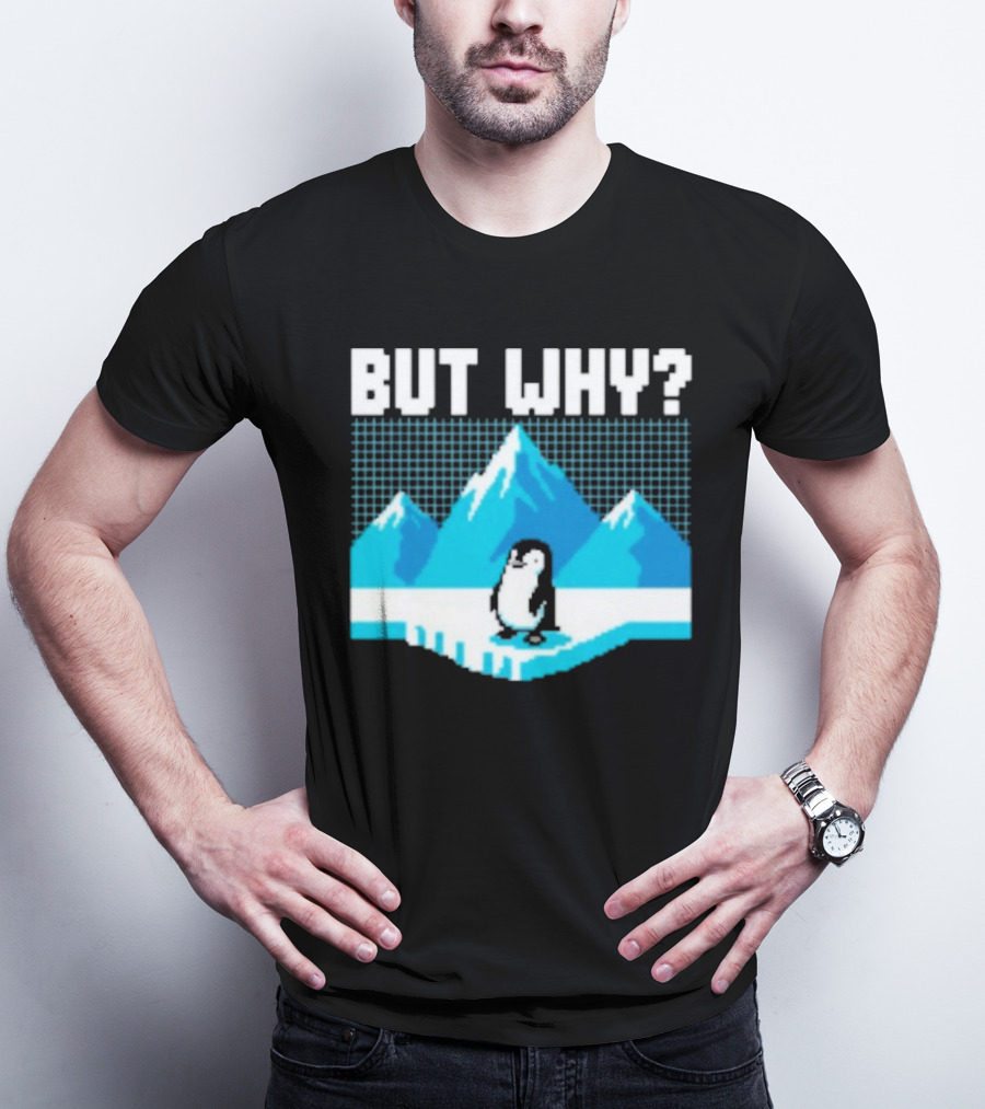 But Why Penguin Arctic Mountains Iceberg T-Shirt